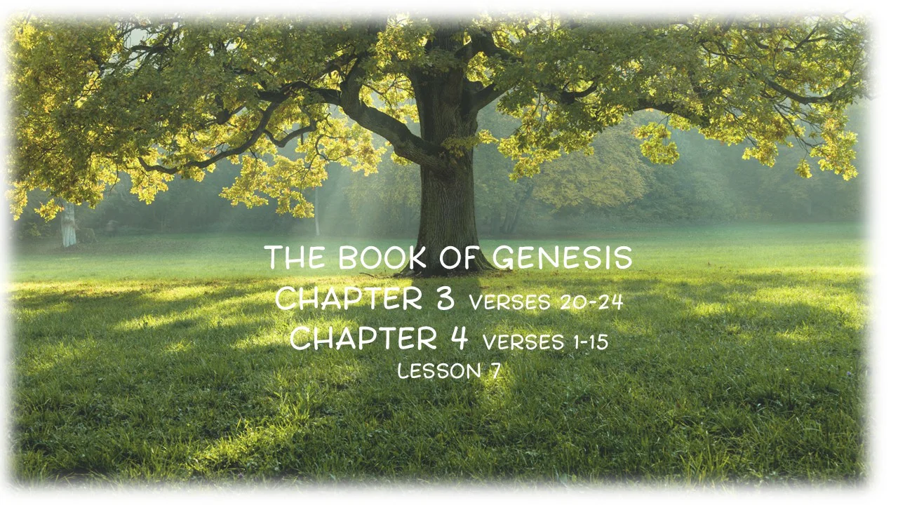 Genesis Lesson 7