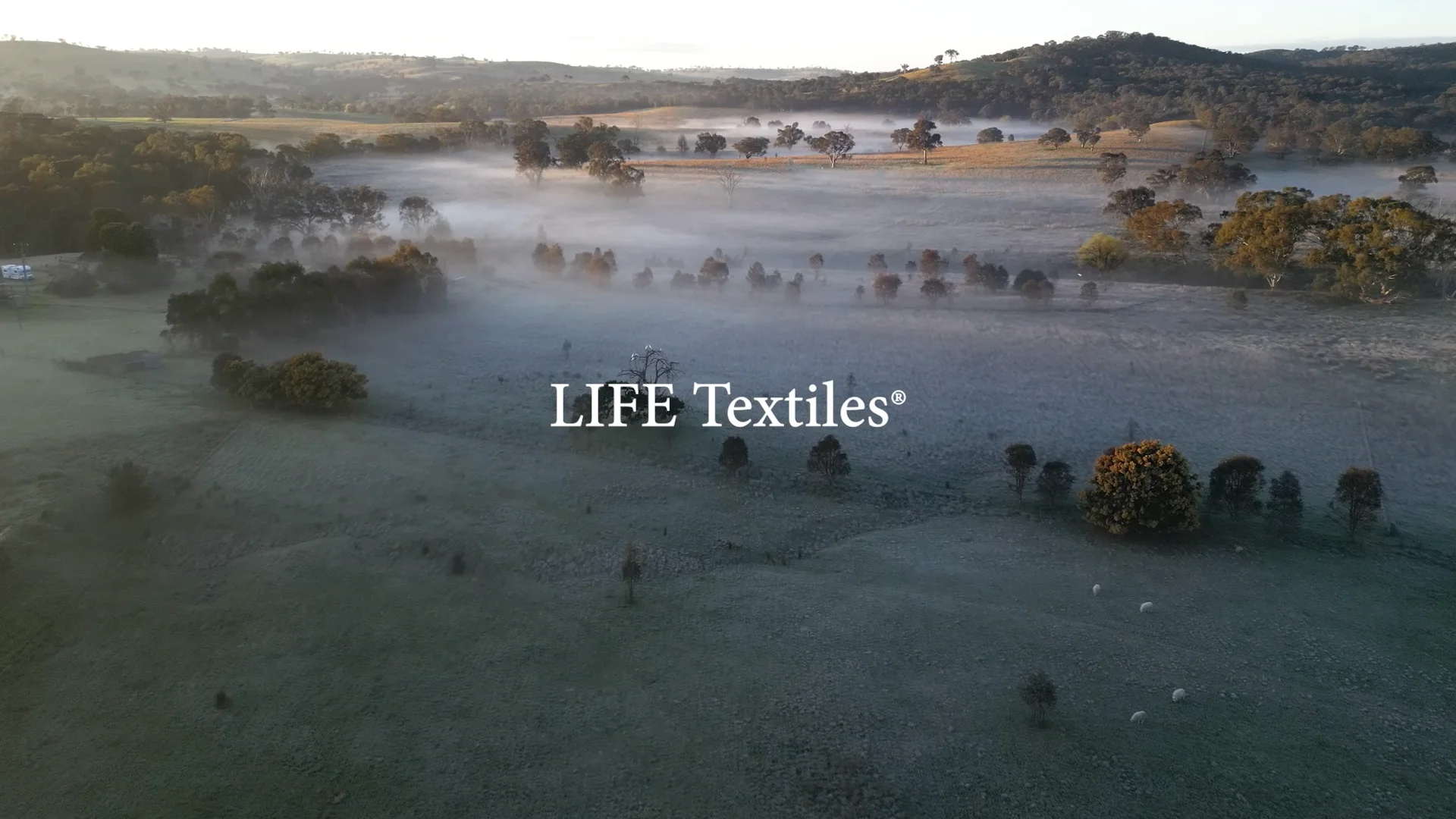 LIFE Textiles - Where Beauty Meets Sustainability