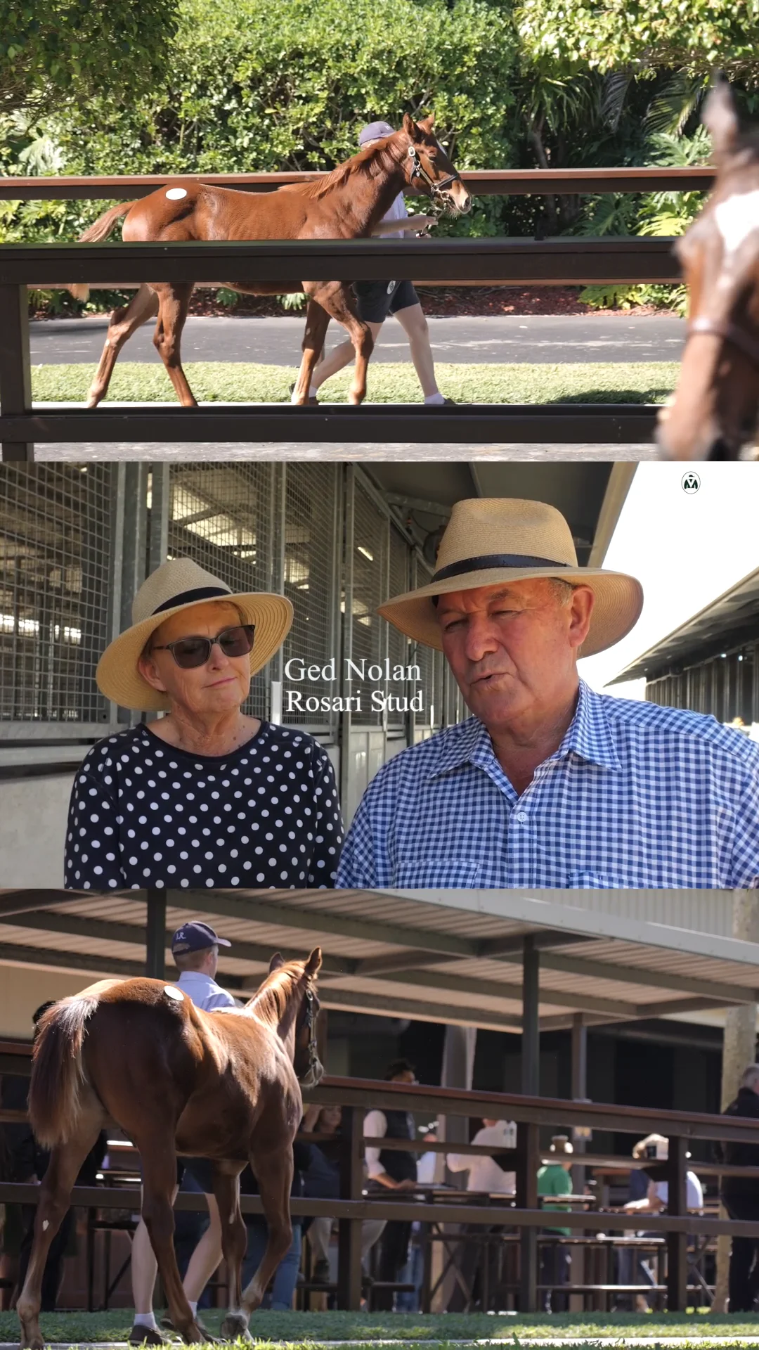 KING KIRK - AN EARLY STAR FOR OLE KIRK