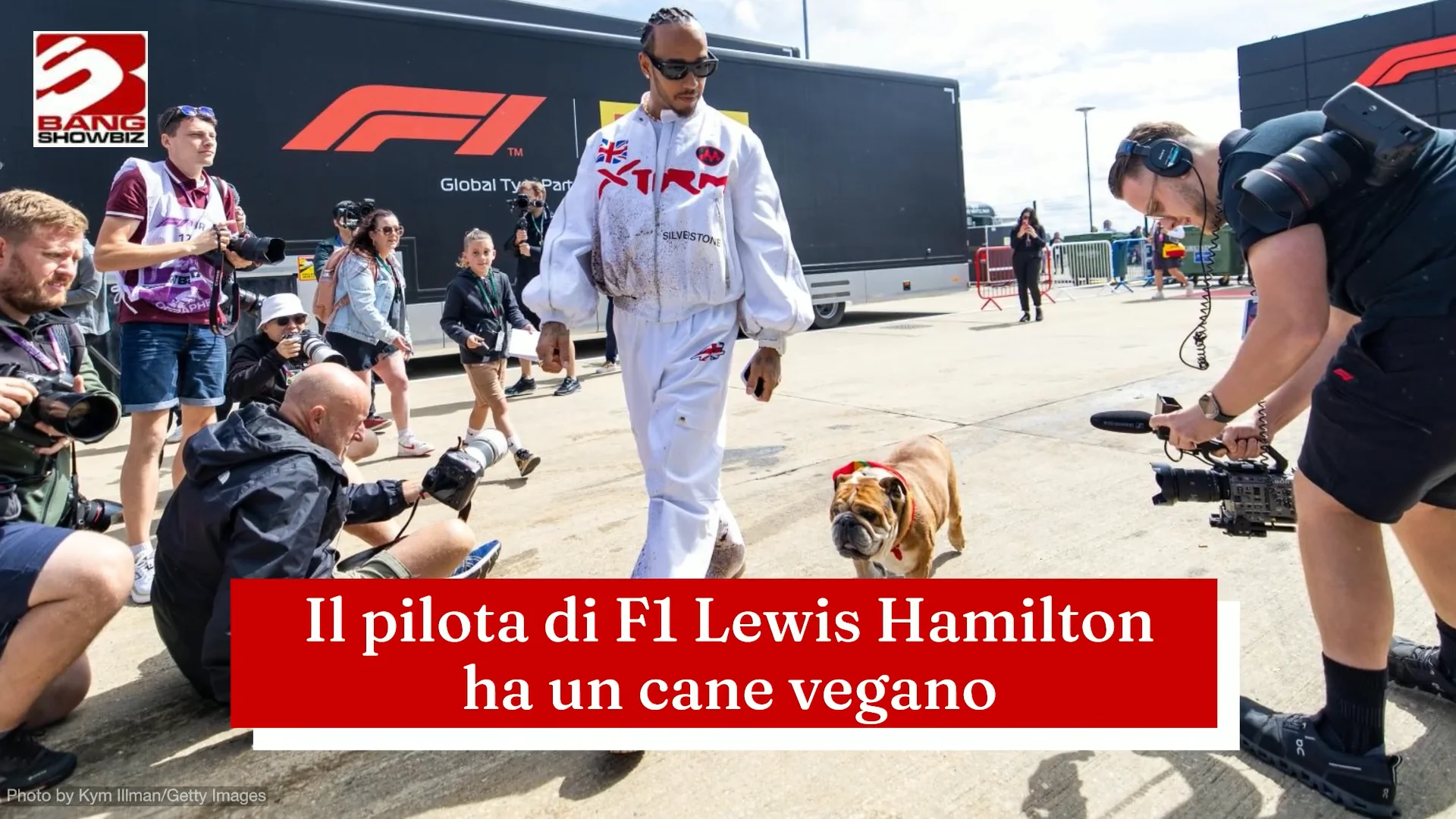 Il pilota di F1 Lewis Hamilton ha un cane vegano