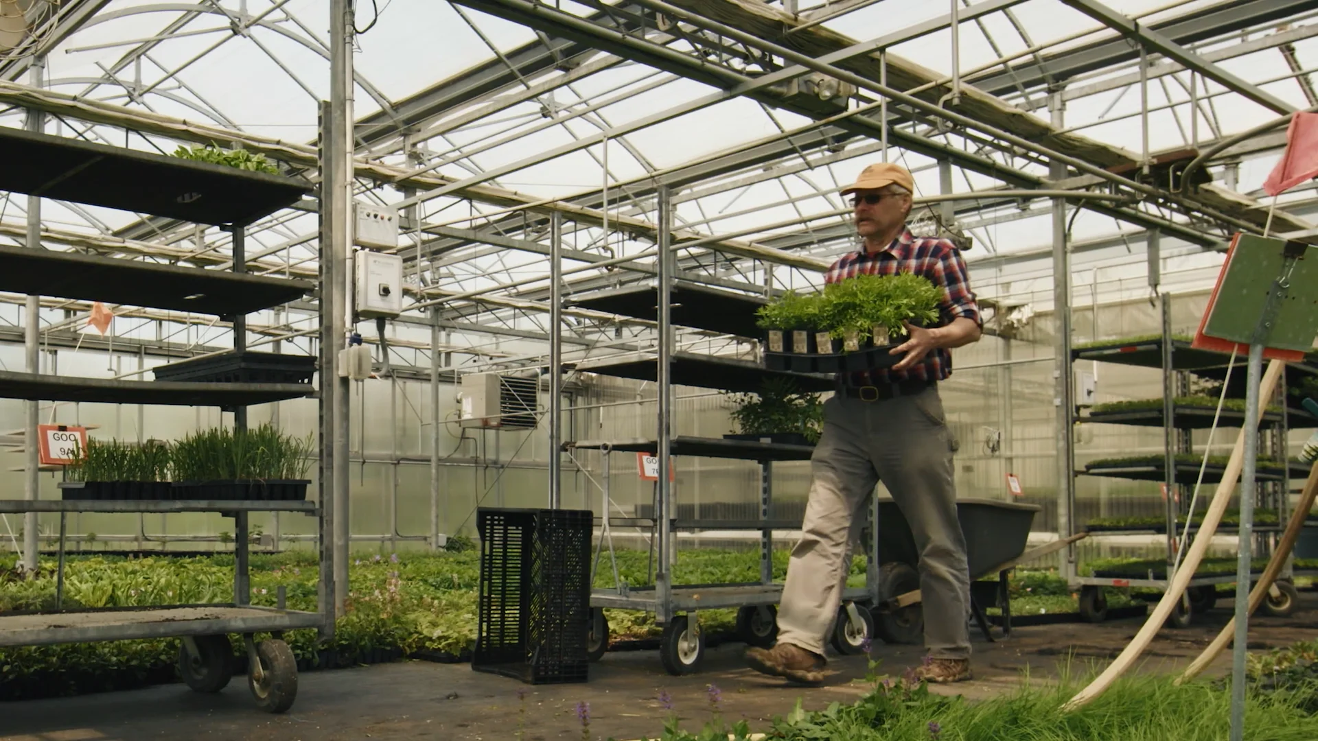 Farm Credit Union - Growth