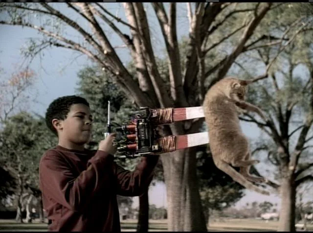 Ad Council / Cat Magnet Invention
