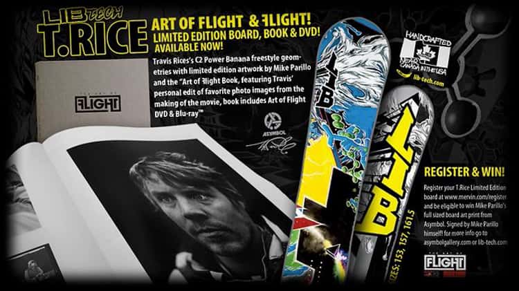 Art Of Flight Poster