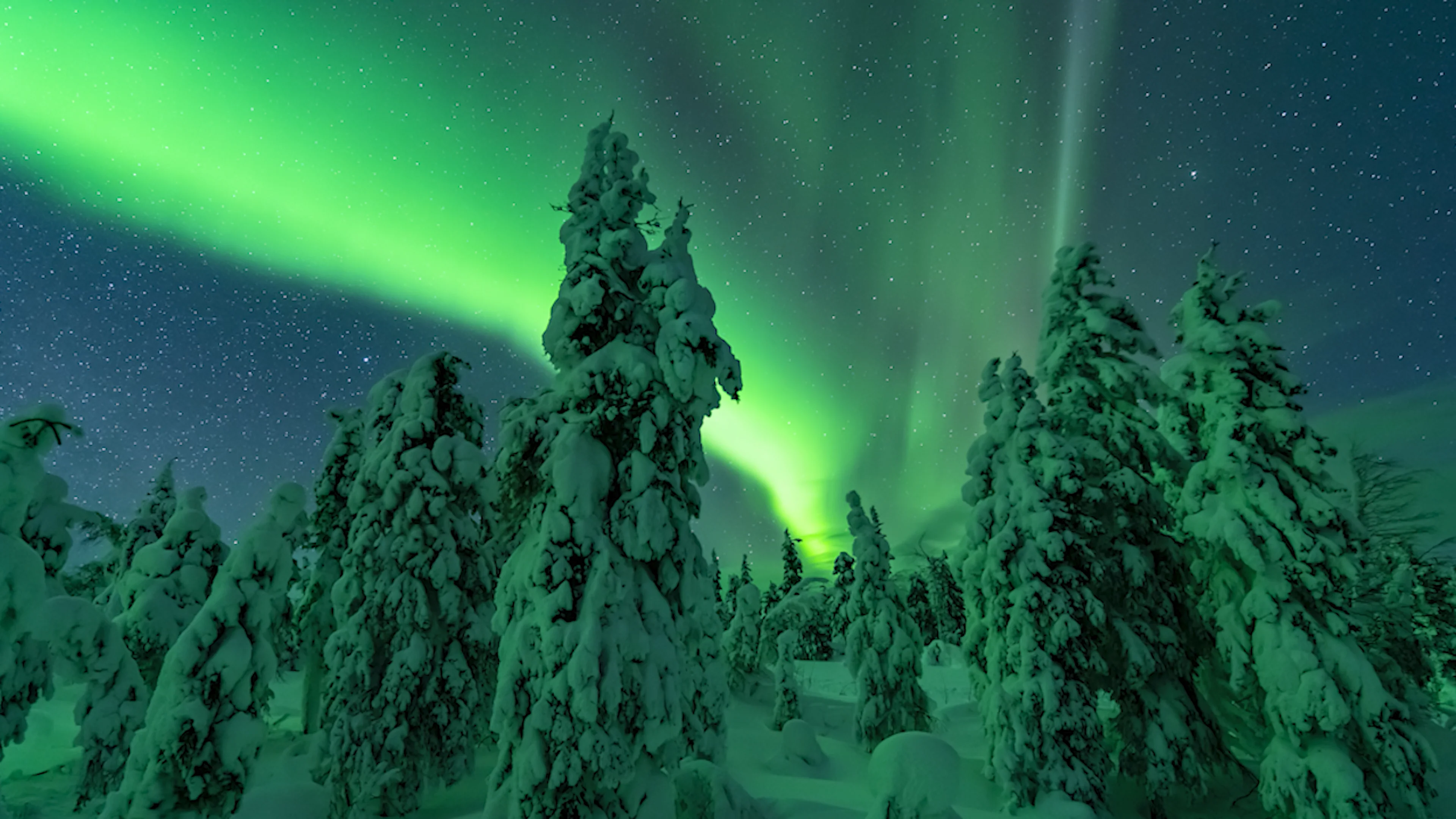 Alaska Northern Lights
