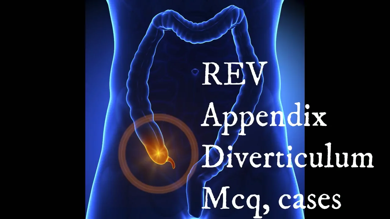 19-511039 Rev Appendix, Diverticulum, Mcq,