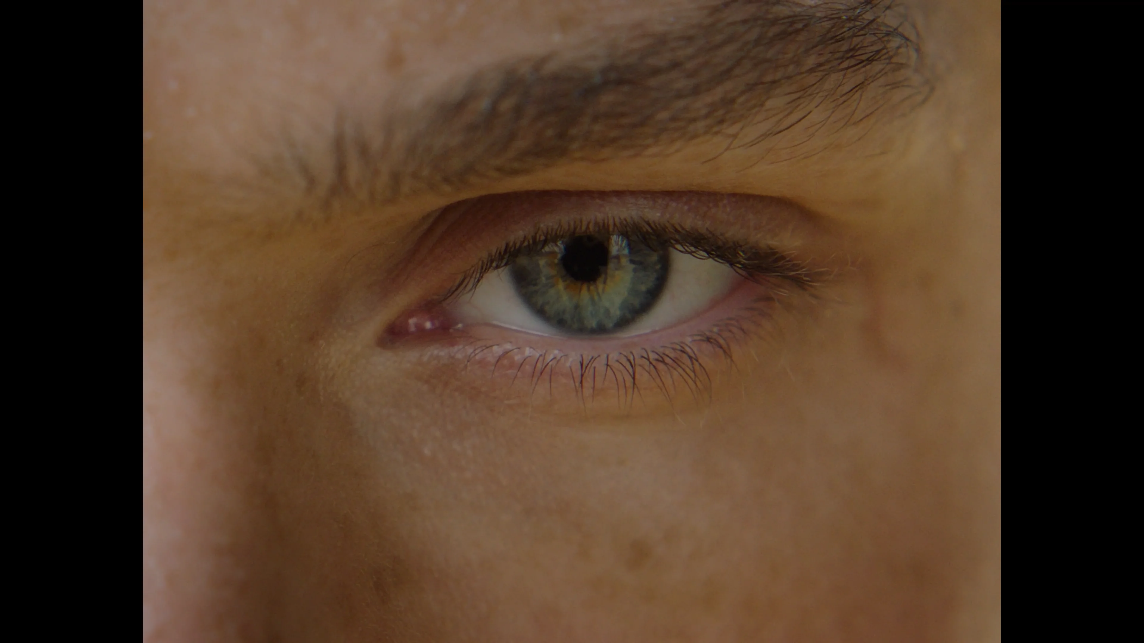 Watch Human | Animal Online | Vimeo On Demand on Vimeo