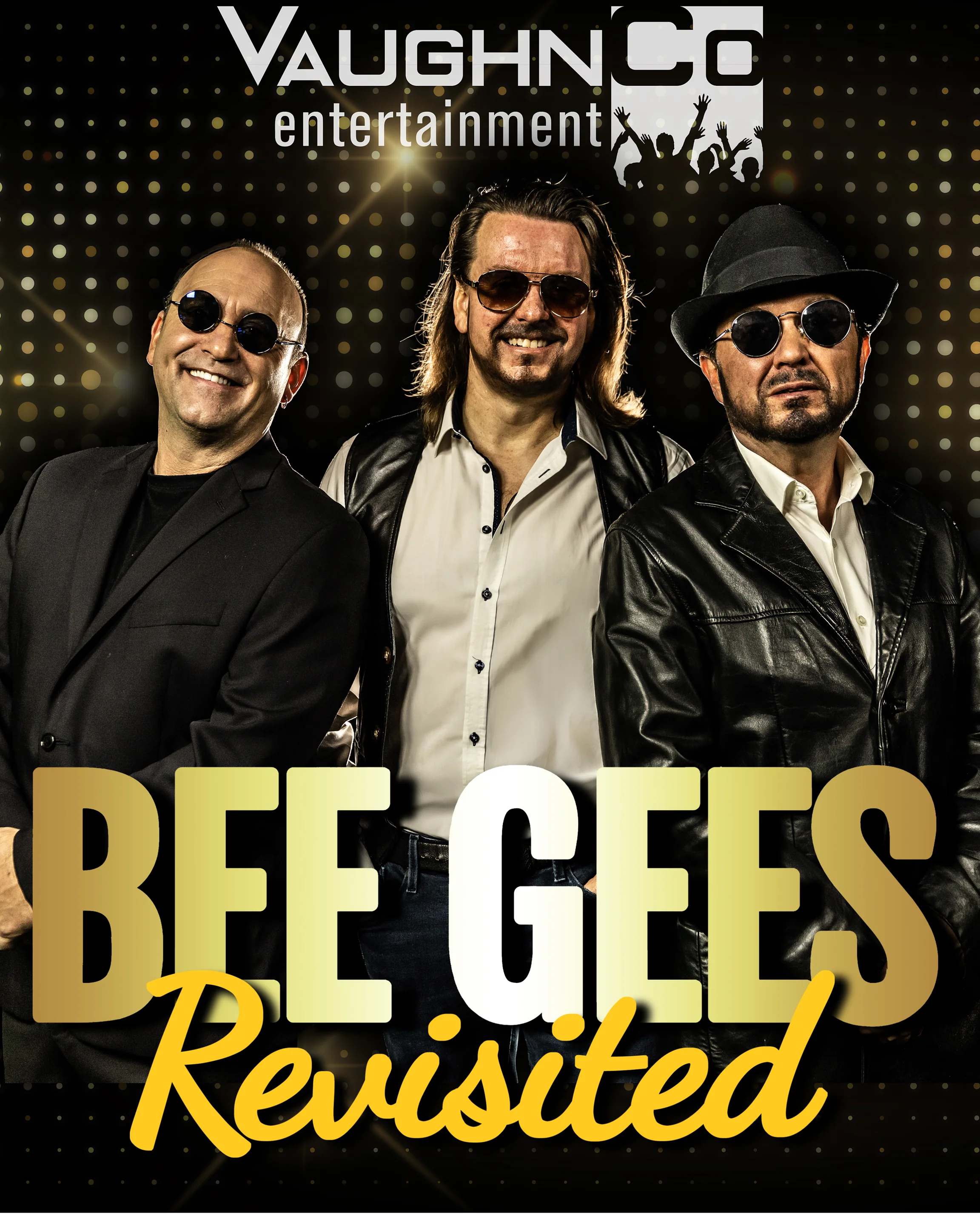 Bee Gee Revisited Promo