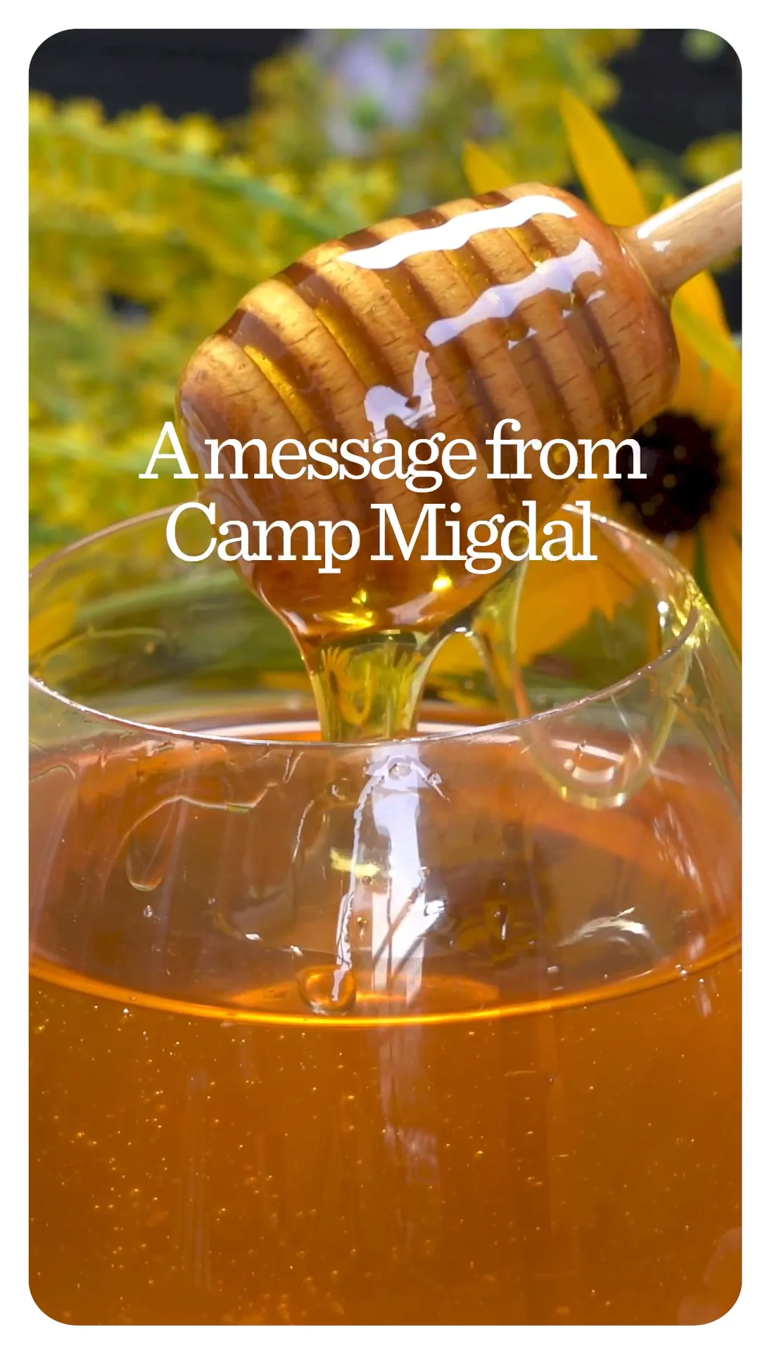 Thank You - Camp Migdal