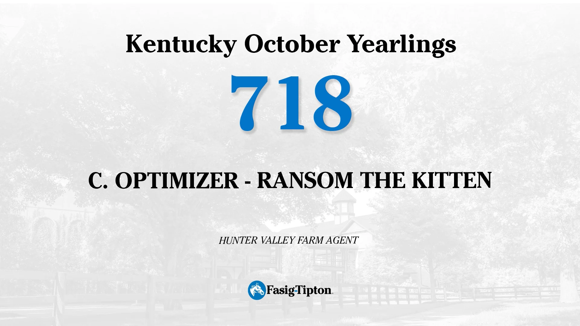 FTKOCT24, Hip 718, c. OPTIMIZER - RANSOM THE KITTEN 23
