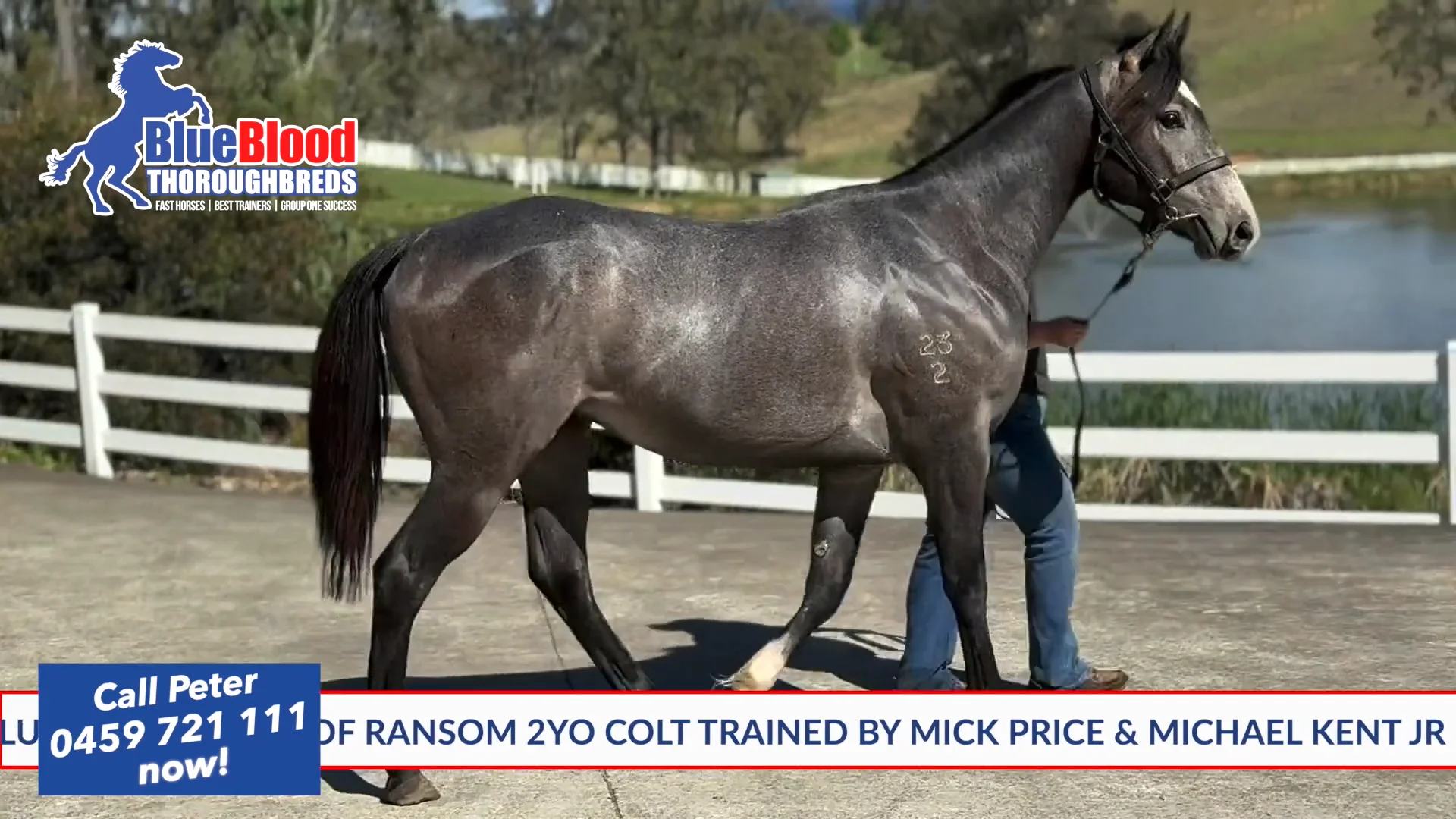 Russian Revolution x Rocket Of Ransom C 11 Oct 24