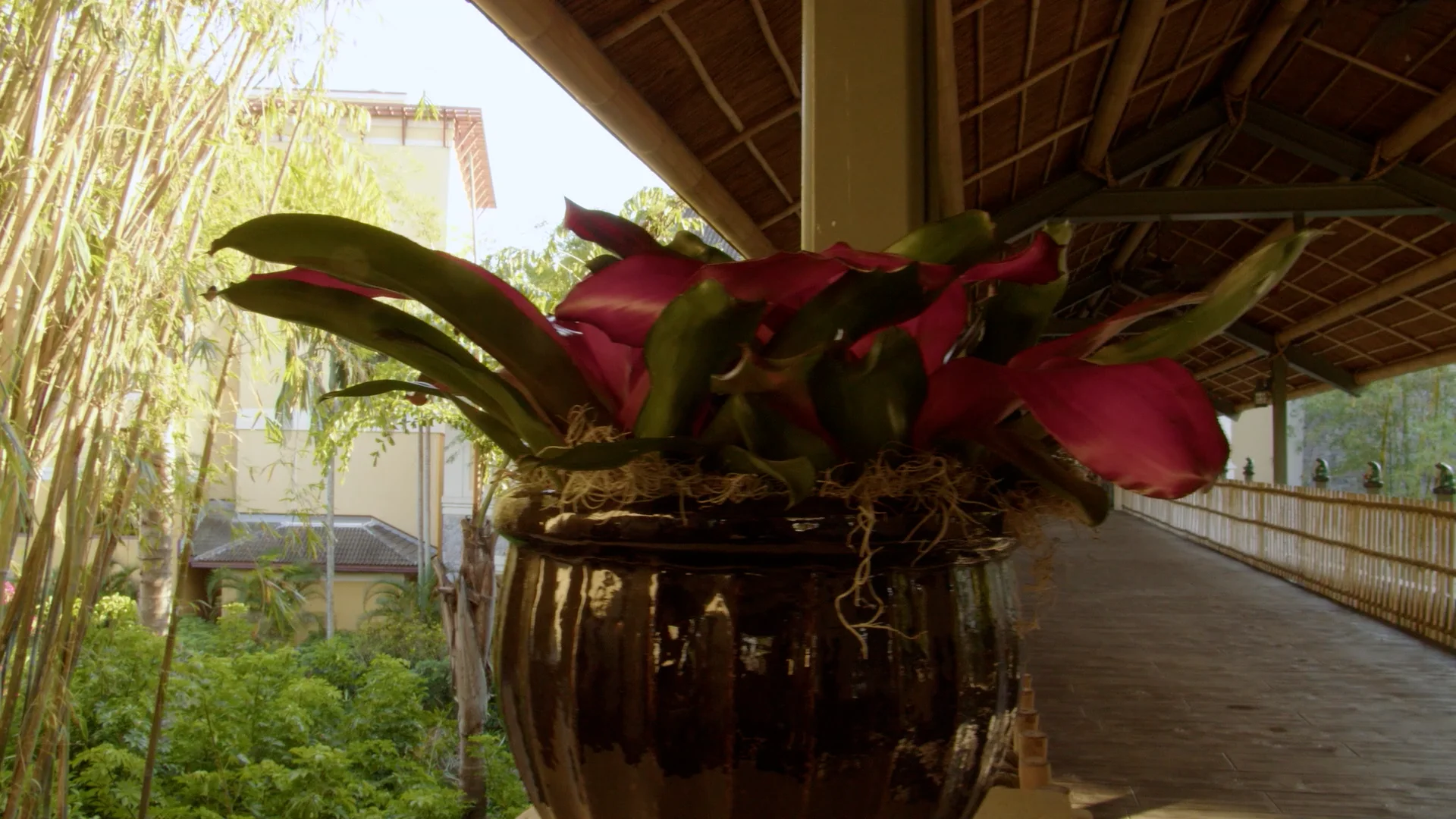 2024 Cameron Ashley Dealer Show