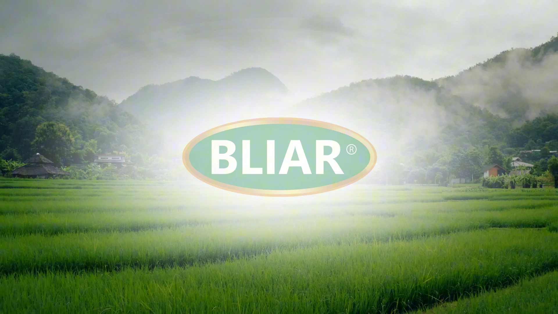 Alolabi Bliar