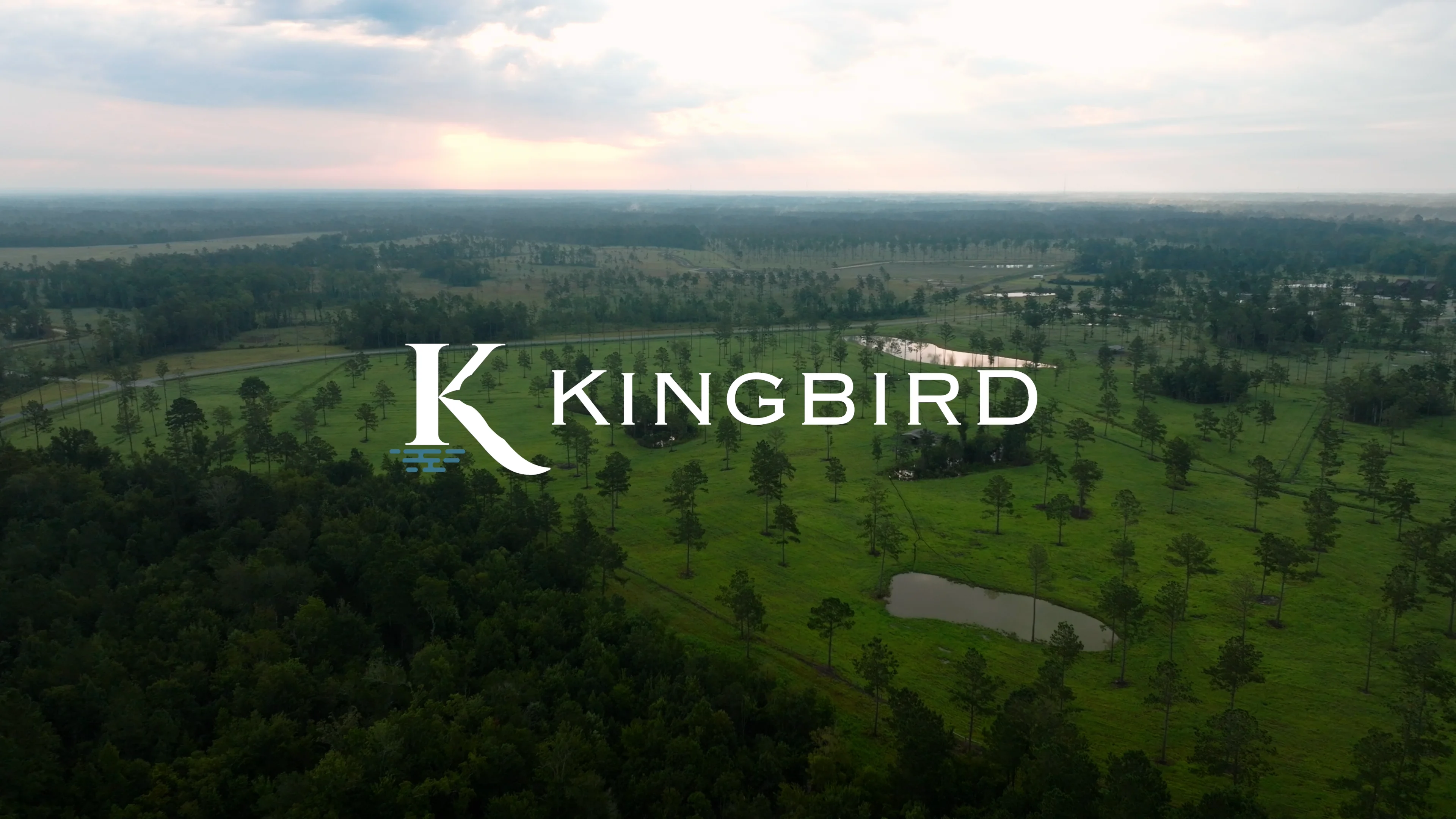 Kingbird - Kevin and Amy