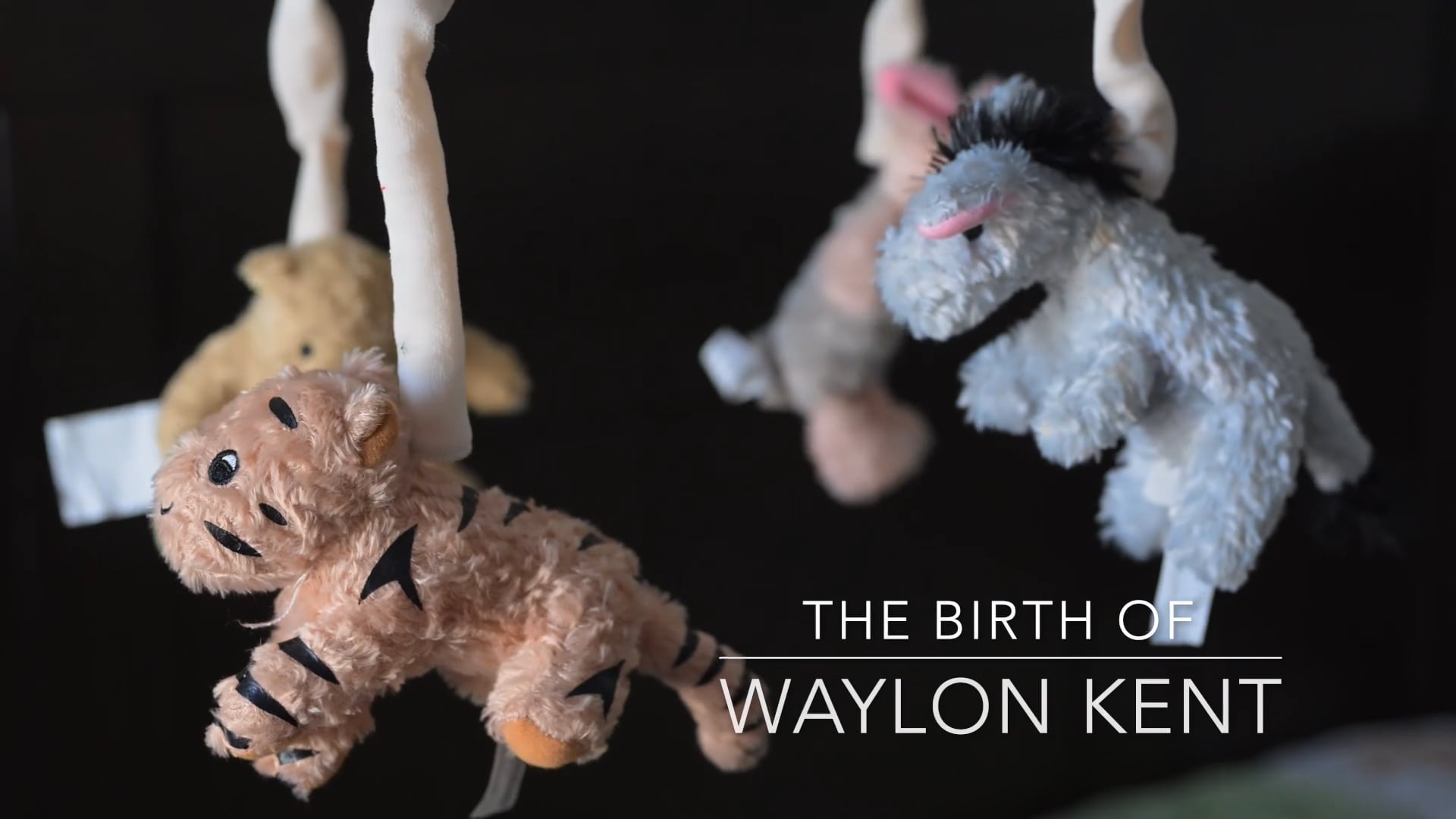 The Birth of Waylon Kent | Videos & Movies on Vimeo