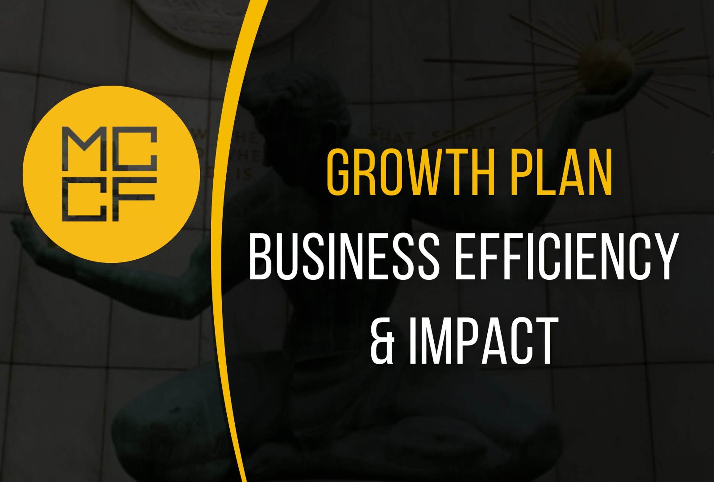 BUSINESS EFFICIENCY AND IMPACT - GROWTH PLAN