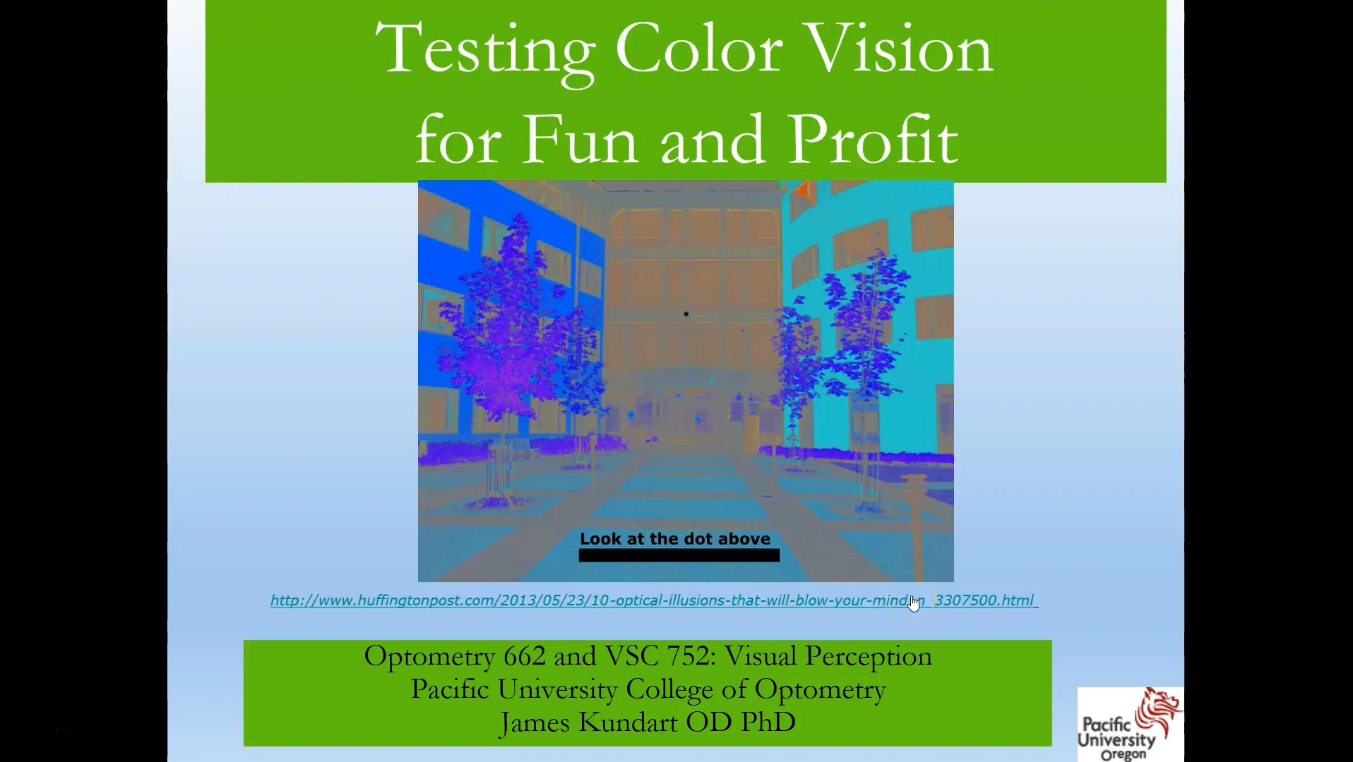#14A Advanced Color Vision Part 1 2024