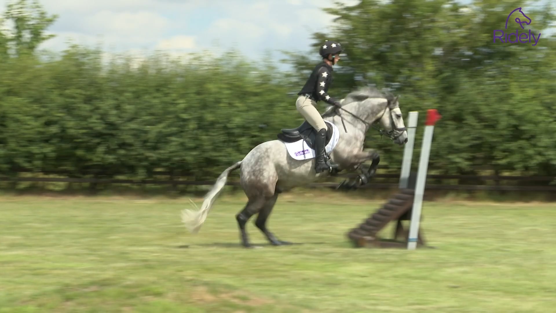 Introducing Skinny Cross Country Fences | Ridely