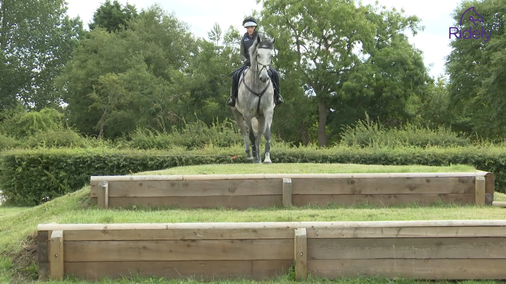 Introducing Steps and Drops | Ridely