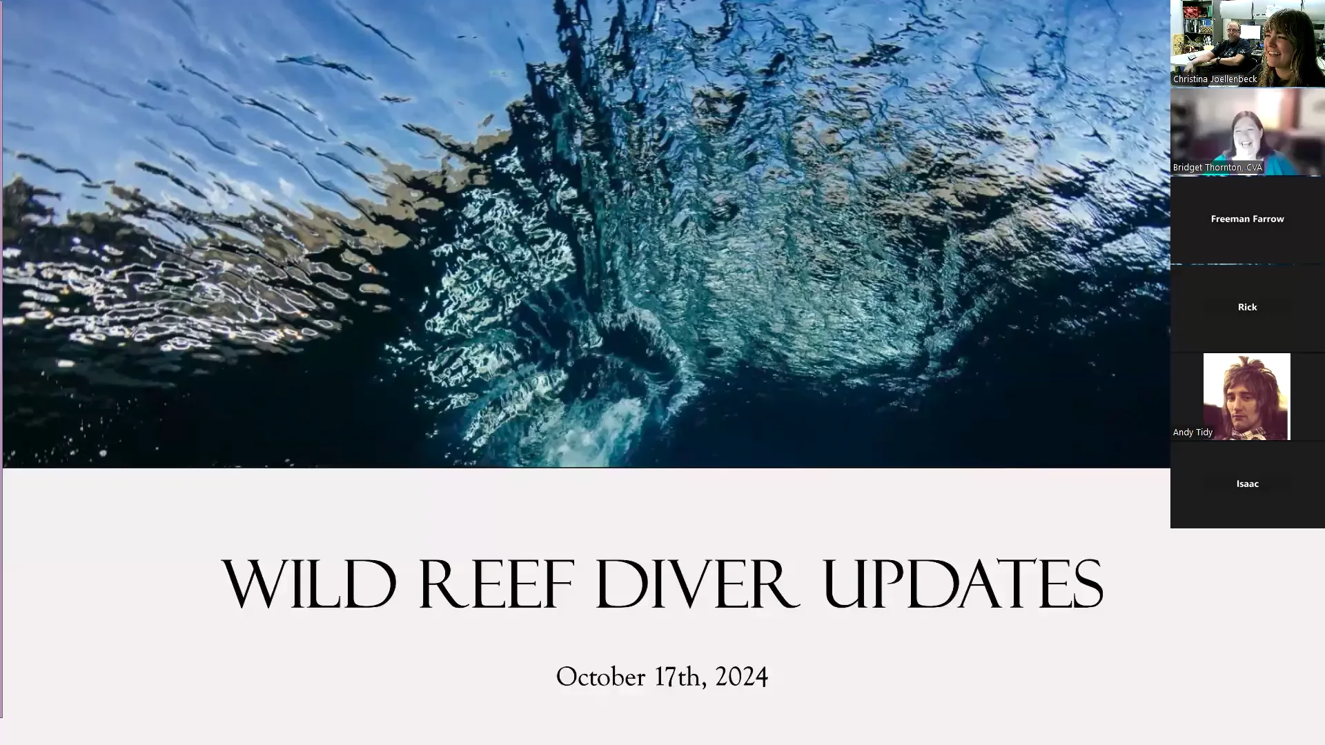 Wild Reef Diver Updates part 1