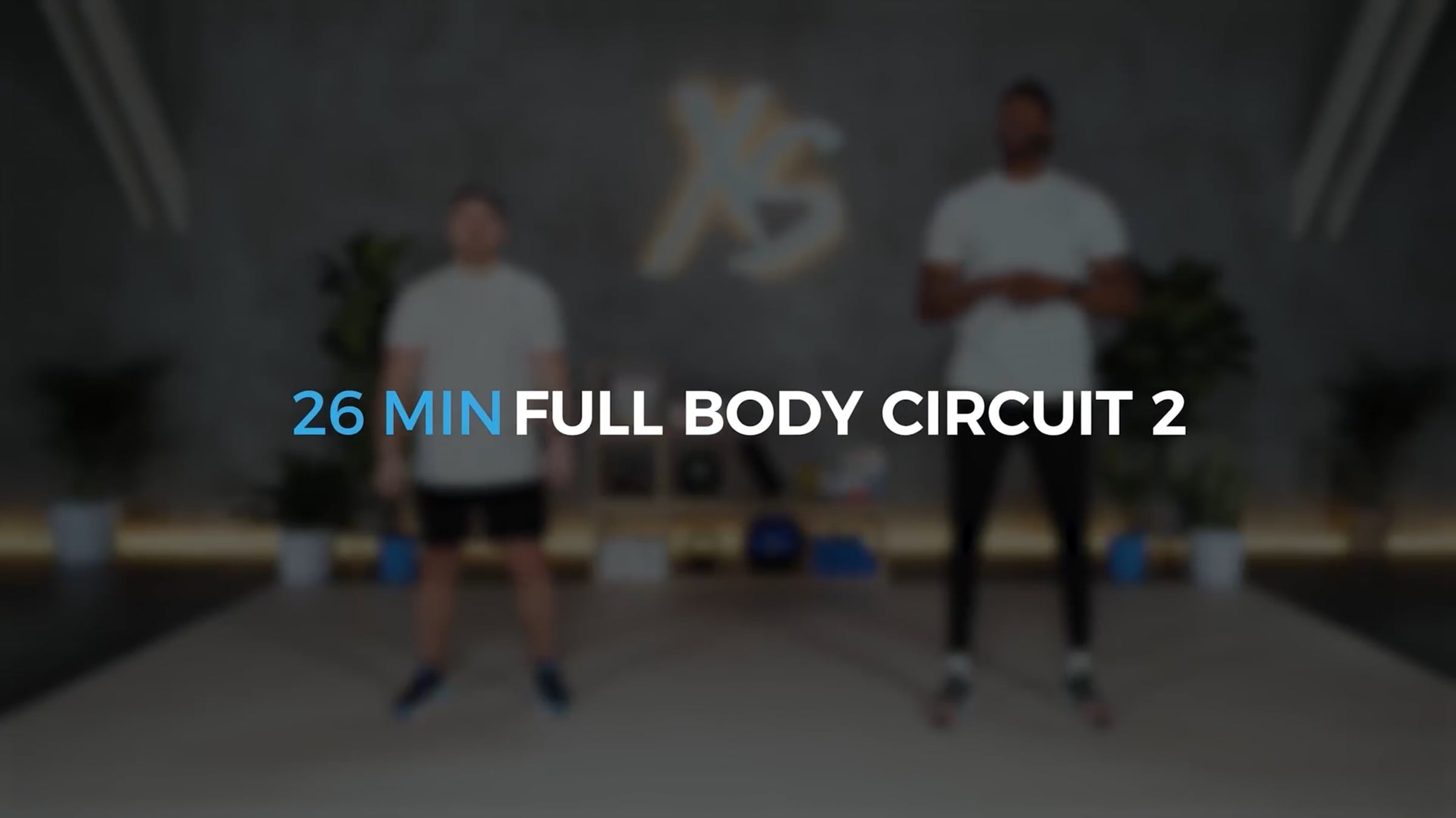 FULL BODY CIRCUIT 2