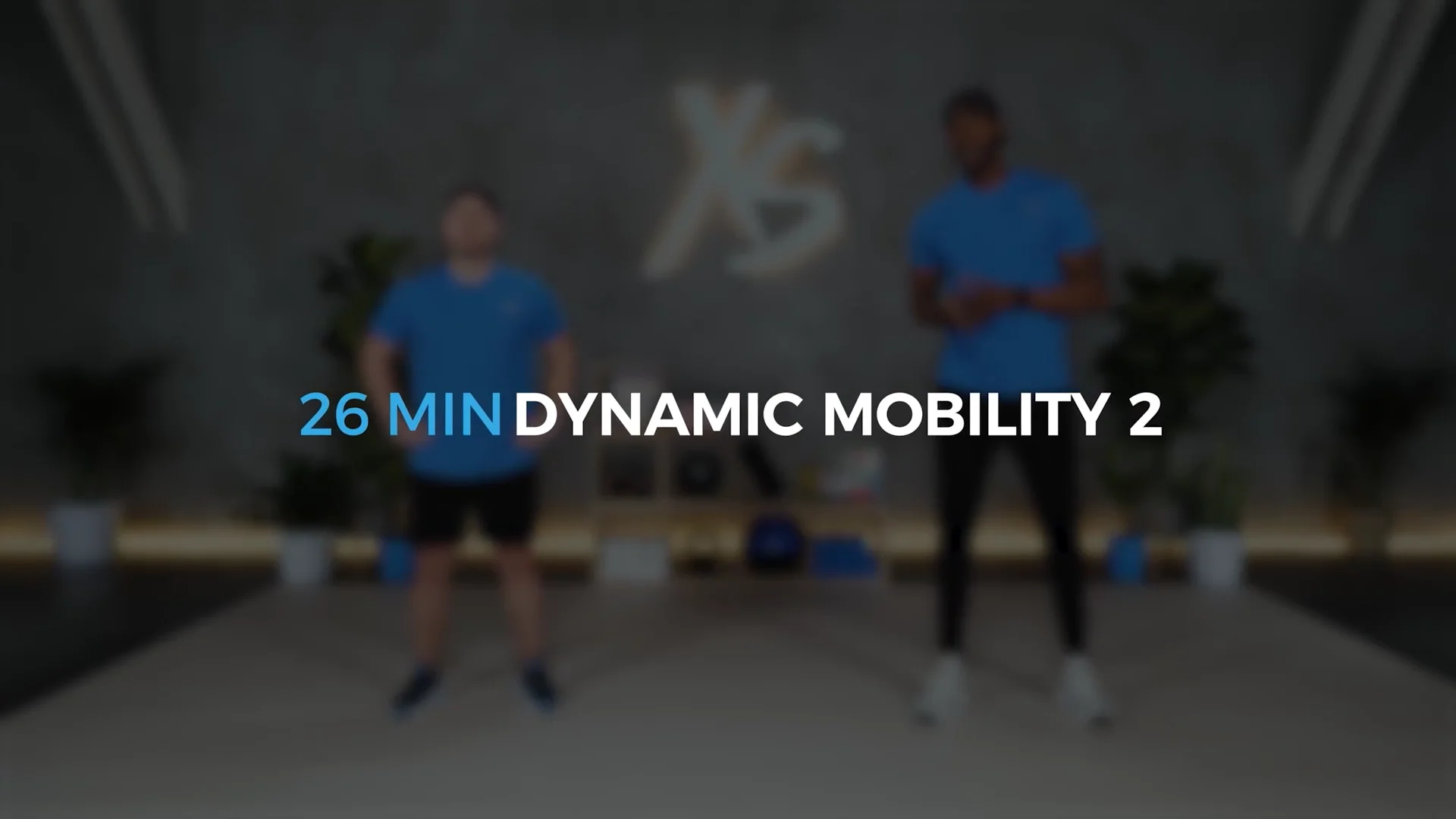 DYNAMIC MOBILITY 2