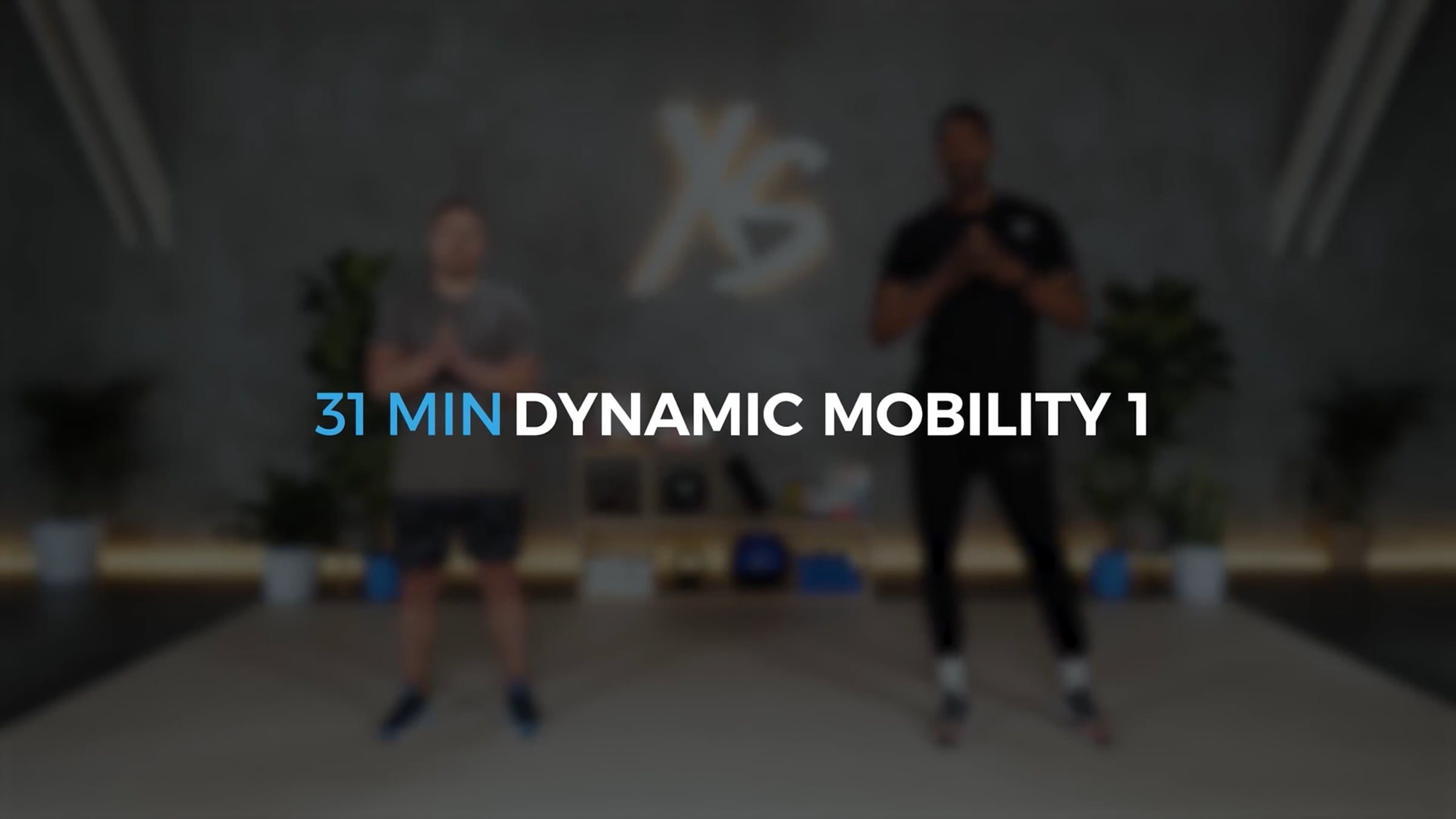 DYNAMIC MOBILITY 1
