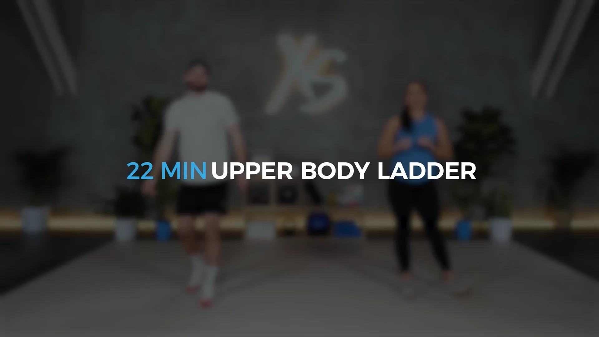 UPPER BODY LADDER