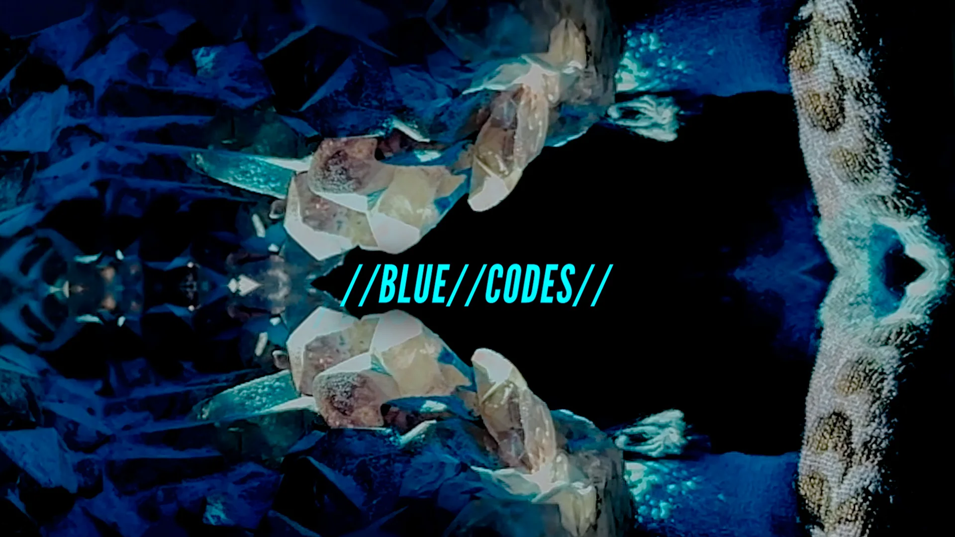 BLUE CODES
