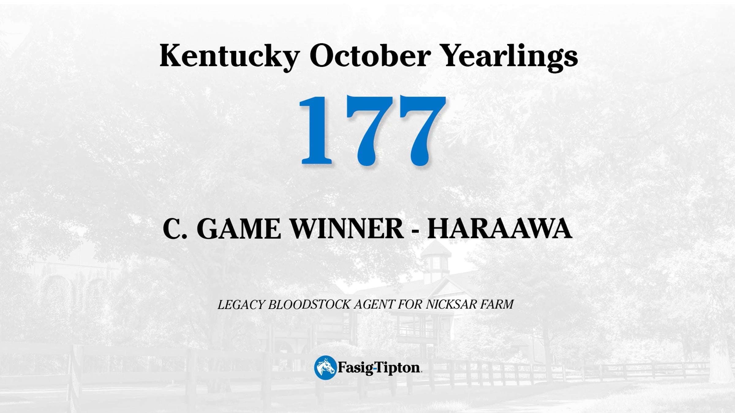 FTKOCT24, Hip 177, c. Game Winner - Haraawa 23
