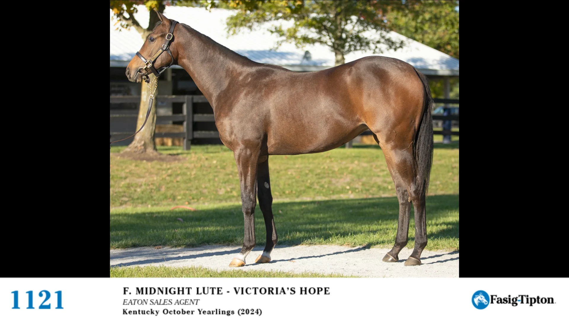 FTKOCT24 1121 Victoria's Hope 23