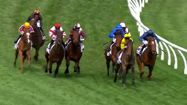 I Am Invincible - Stallion | Breednet