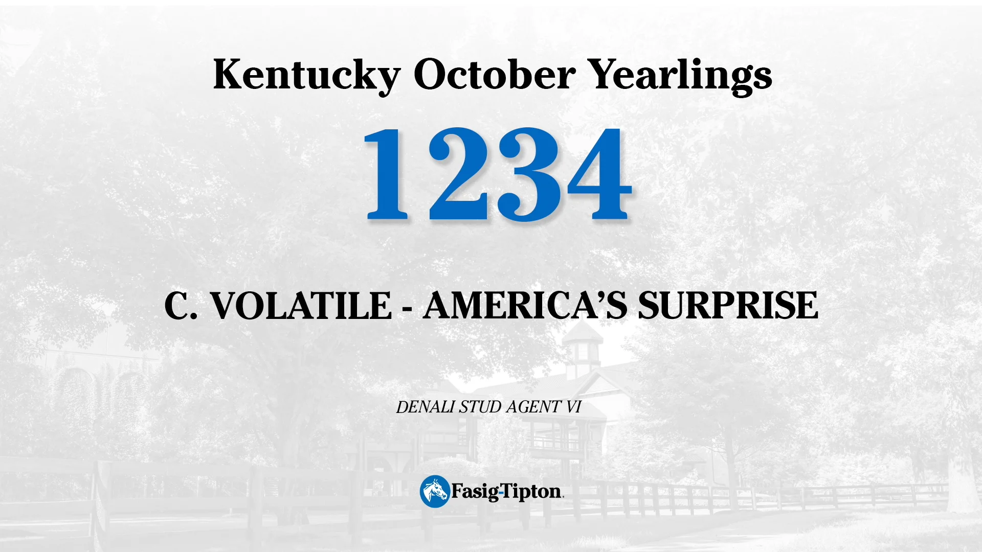 FTKOCT24, Hip 1234, c. VOLATILE - AMERICA'S SURPRISE 23
