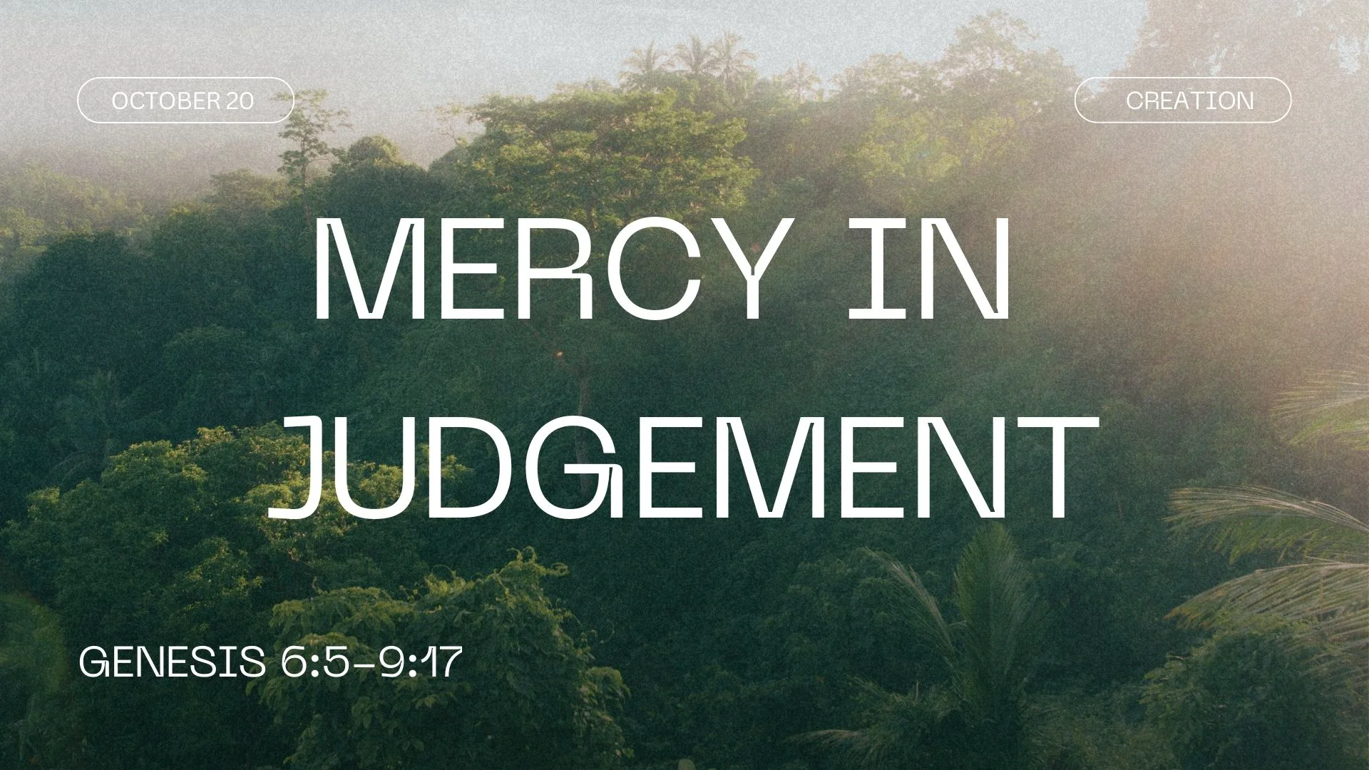 Mercy in Judgement - Sunday, October 20, 2024, sermon at SAJ