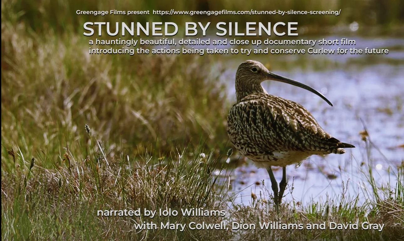 Stunned By Silence - dir Malka Holmes