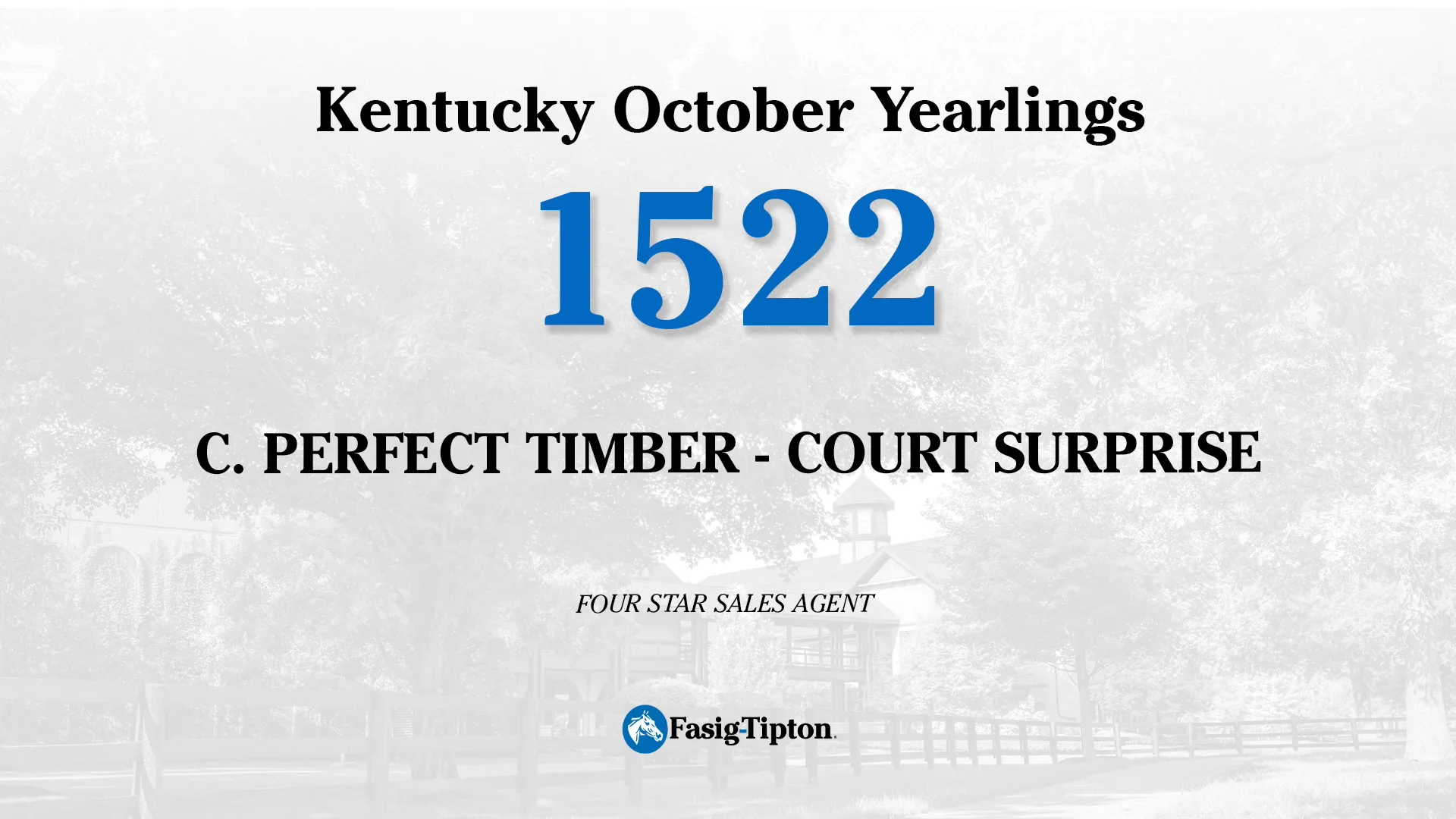 Hip 1522 - FTKOCT24 - Perfect Timber - Court Surprise