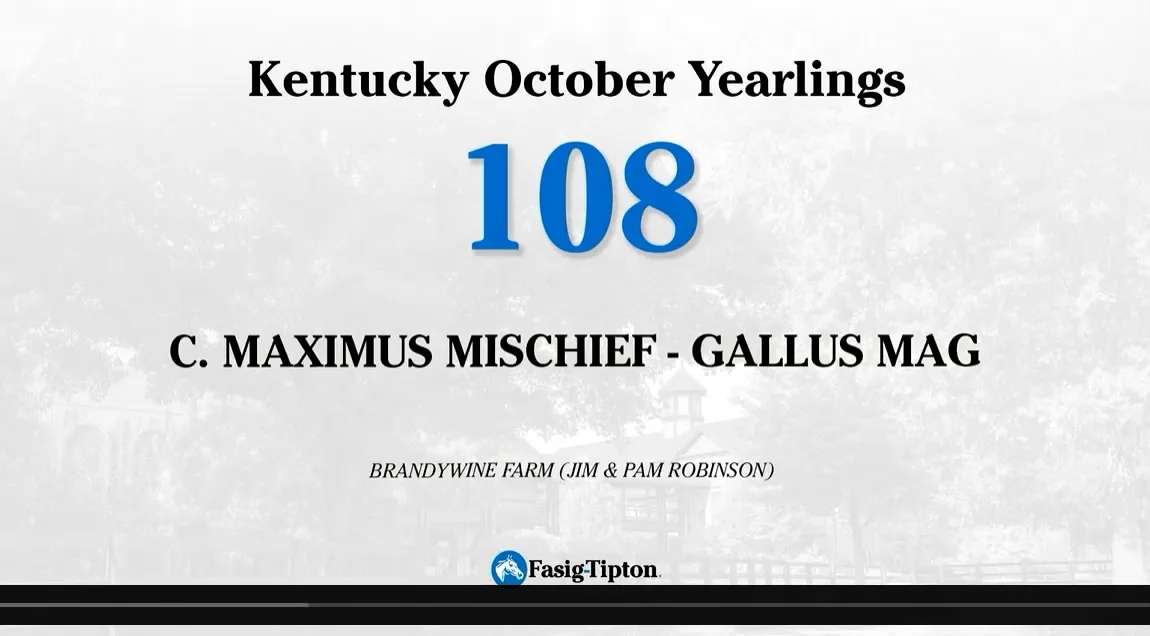 Gallus Mag 23 - Sales Video