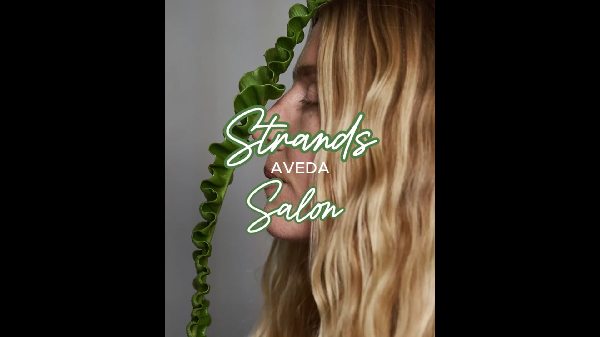 Hair Salon - Strands Salon Spa