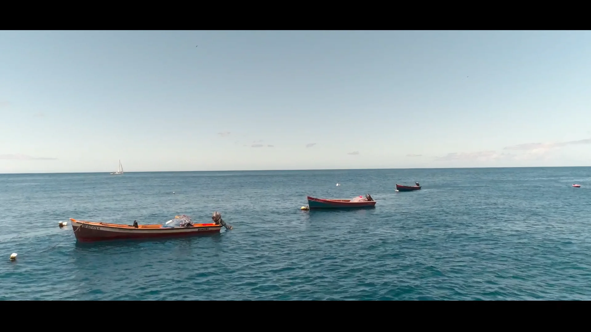 Watch Fabrice di Falco, une voix lyrique au-delà des mers Online ...