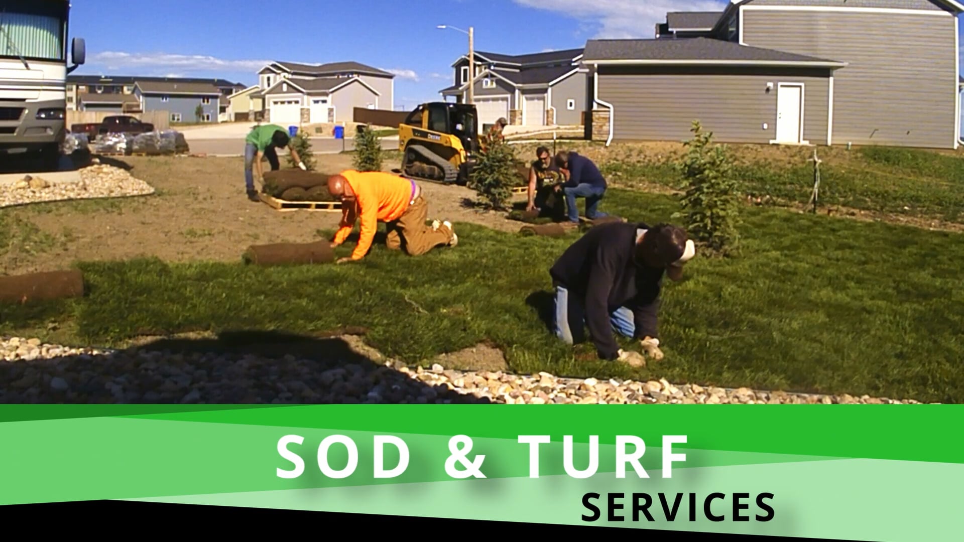 elite Kentucky bluegrass | Black Hills Sod Farm