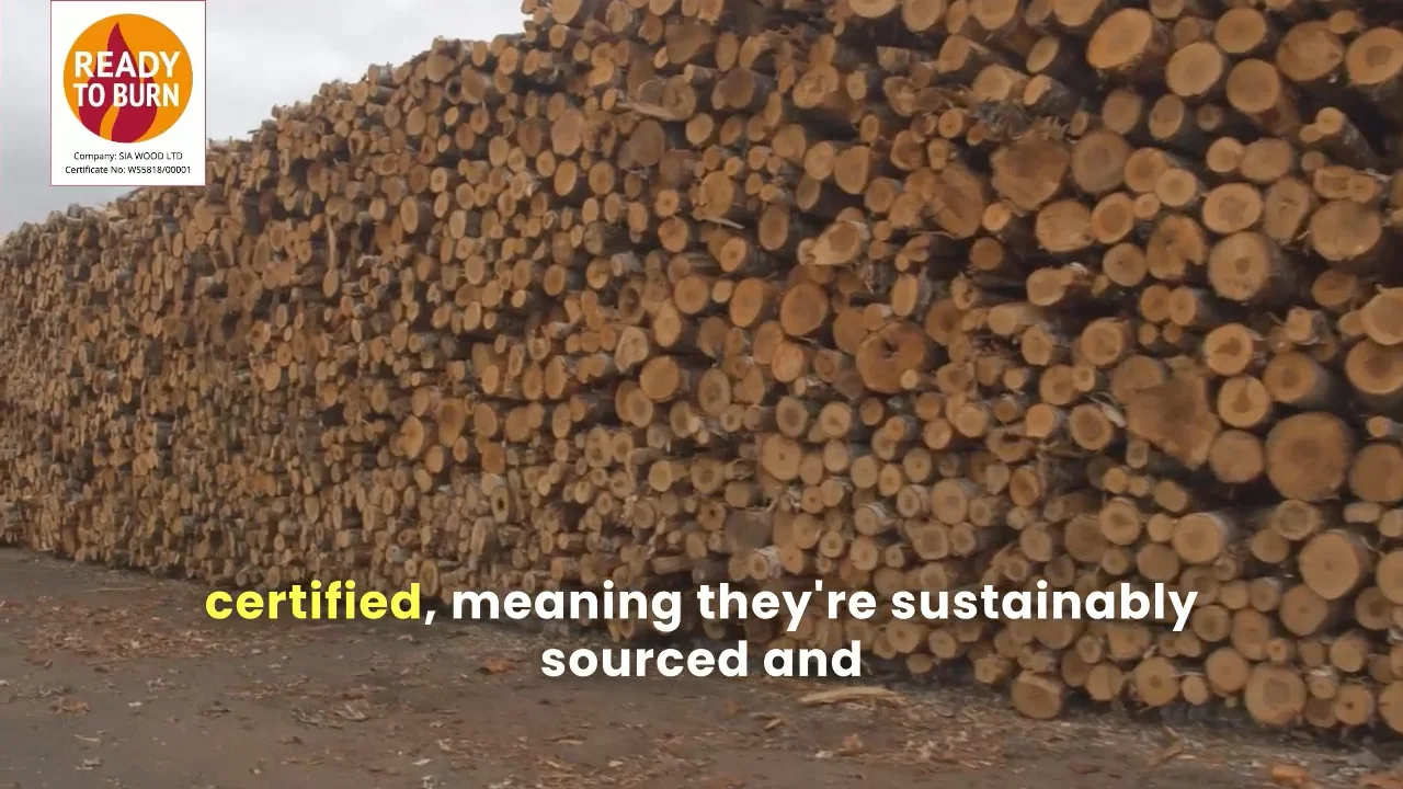 How Do We Ensure the Quality of Our Logs