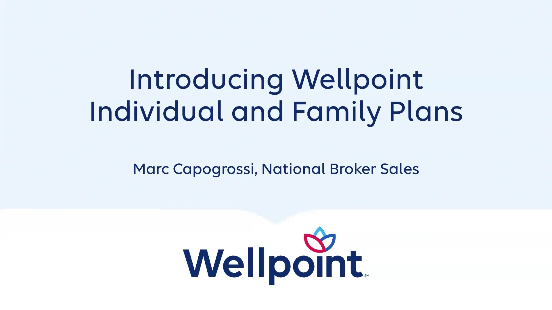 Wellpoint ACA 2025 Product Updates