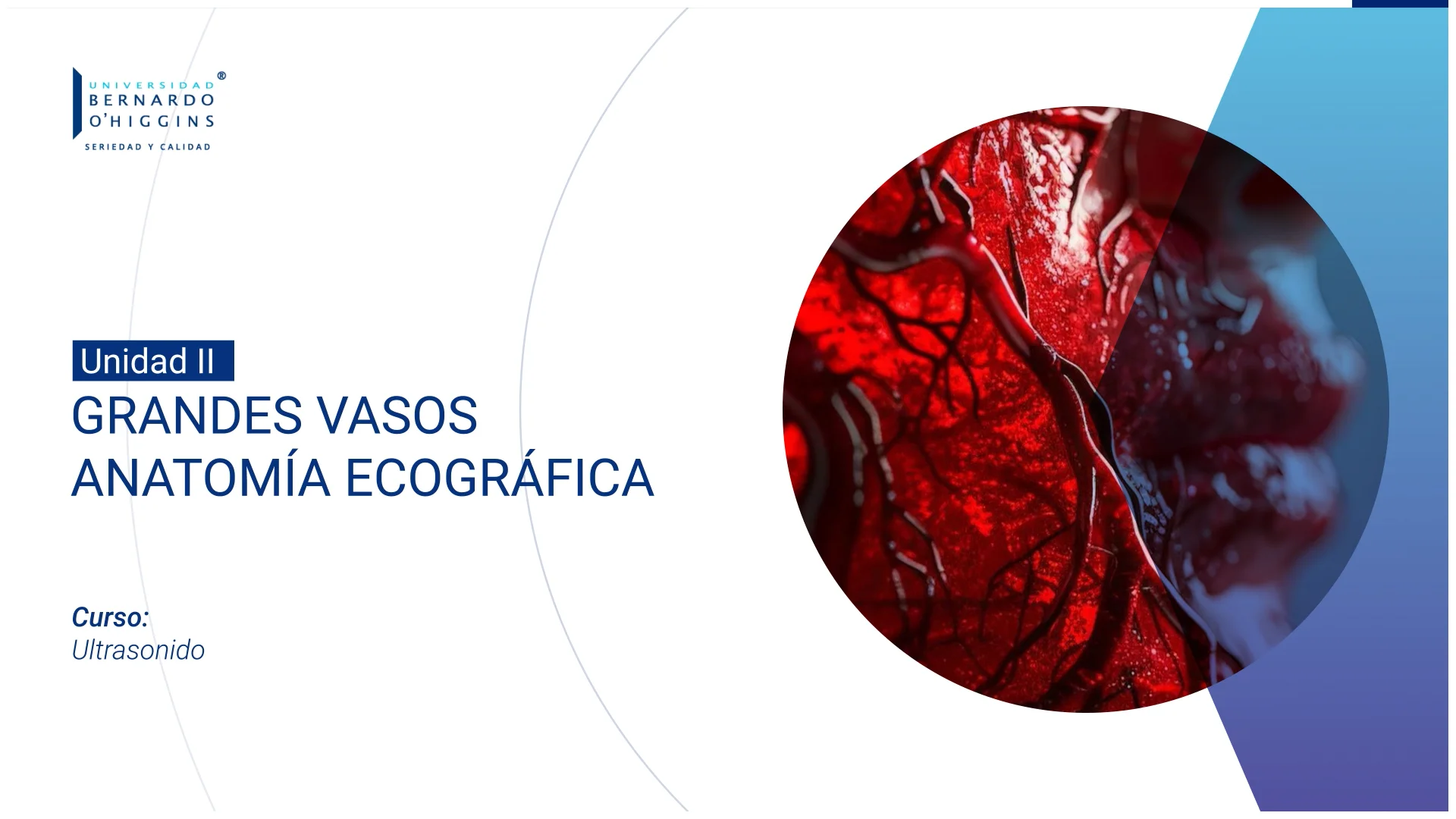 Unidad 2-Grandes vasos anatomía ecográfica