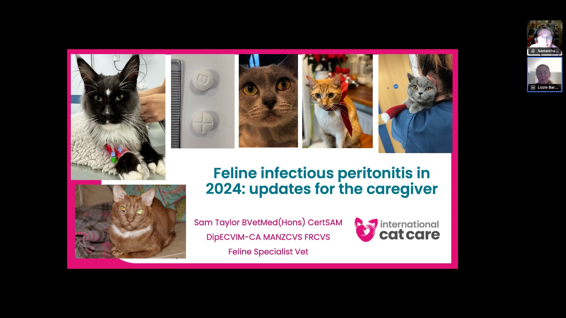 Feline infectious peritonitis in 2024: updates for the caregiver