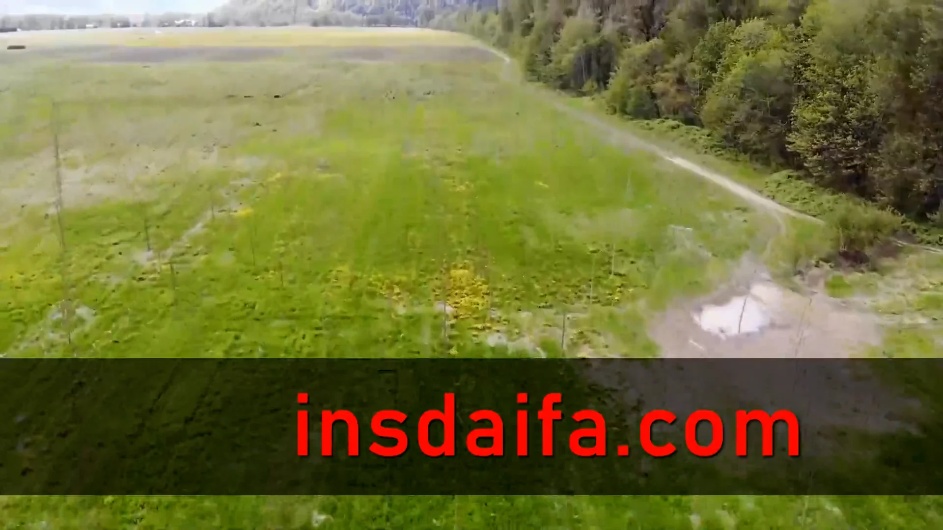 [insdaifa.com]ig号码购买(ig买smlz).txt