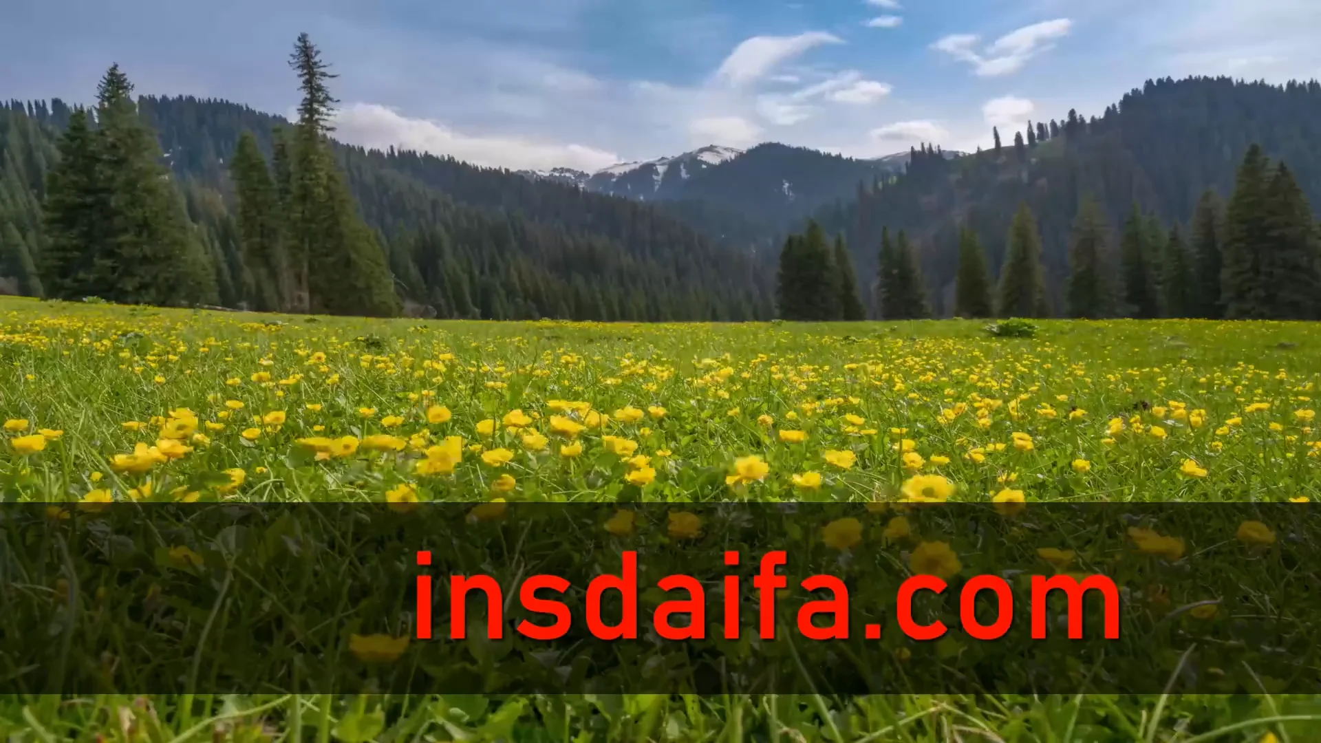 [insdaifa.com]ig商业账号购买-ig交易怎么买.txt