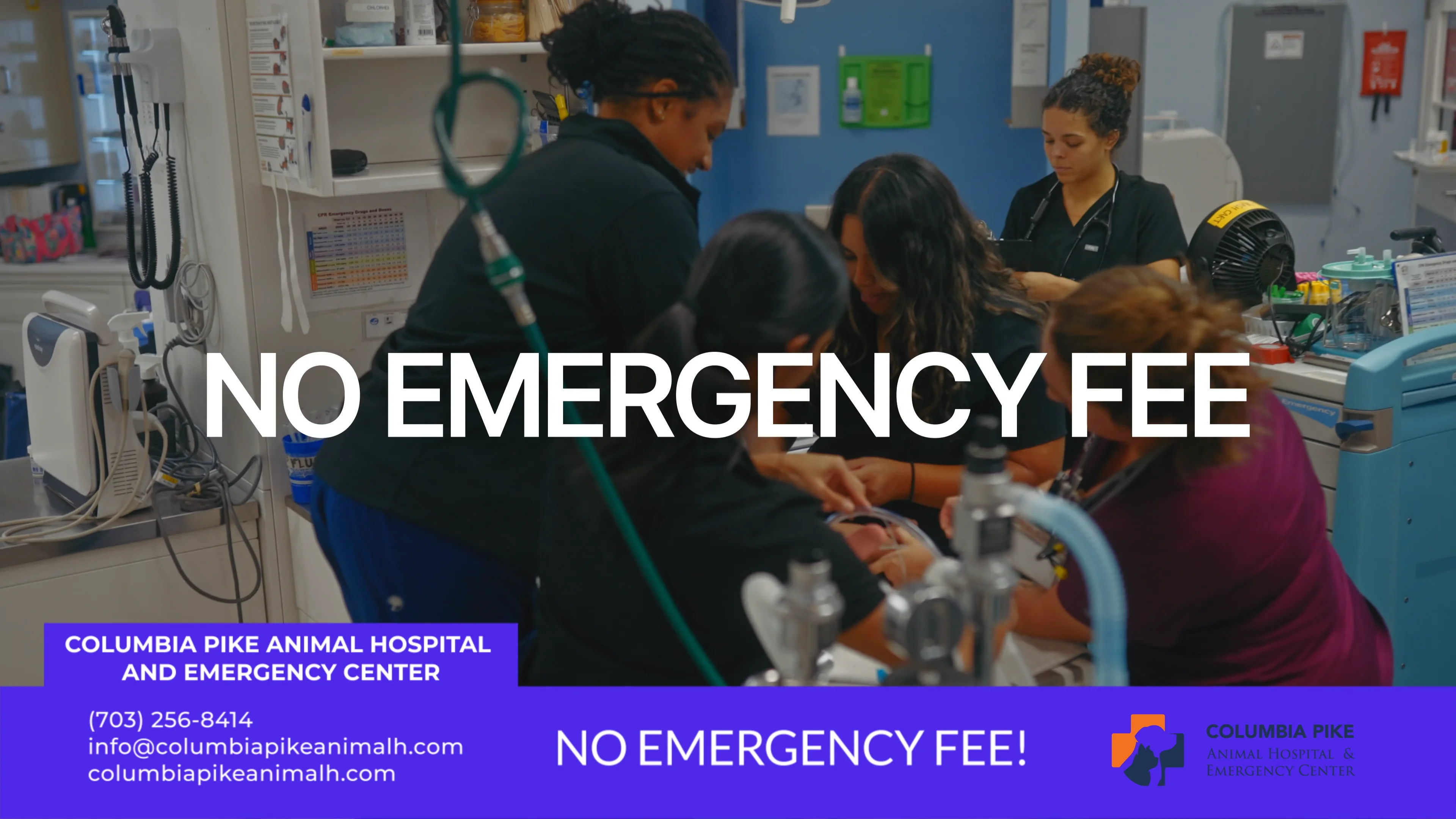 Columbia Pike Animal Hospital: No Emergency Fees & Open 24/7/365!