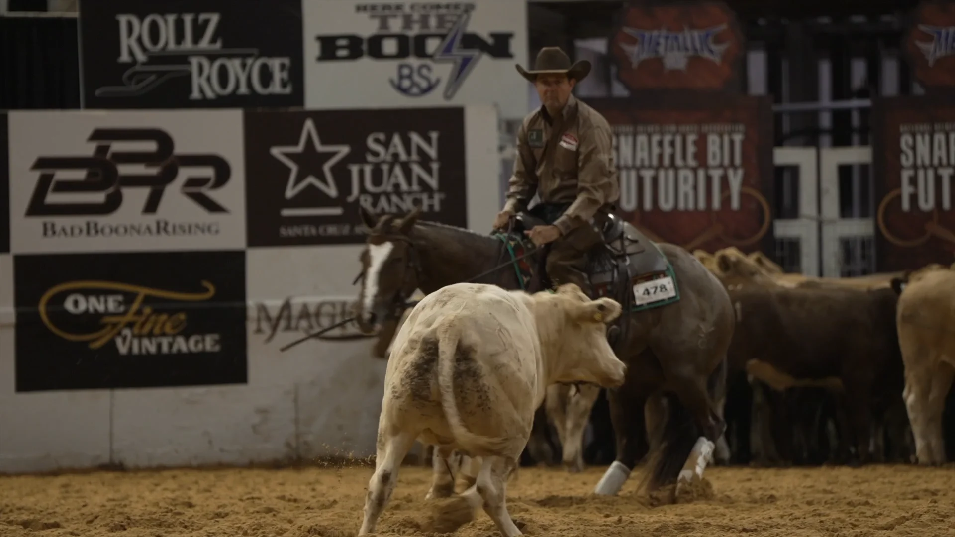 2024 NRCHA Snaffle Bit Futurity® Open Champion