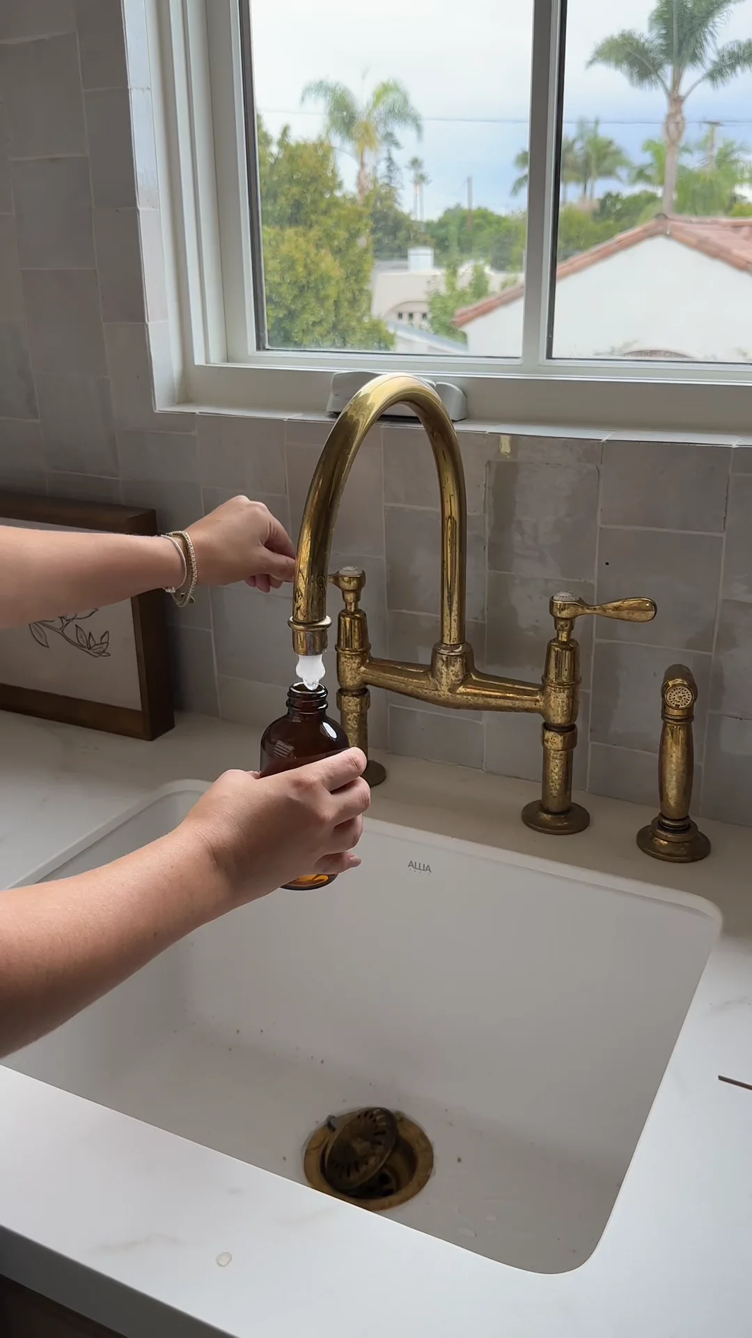 241024_JM_Spiders Away