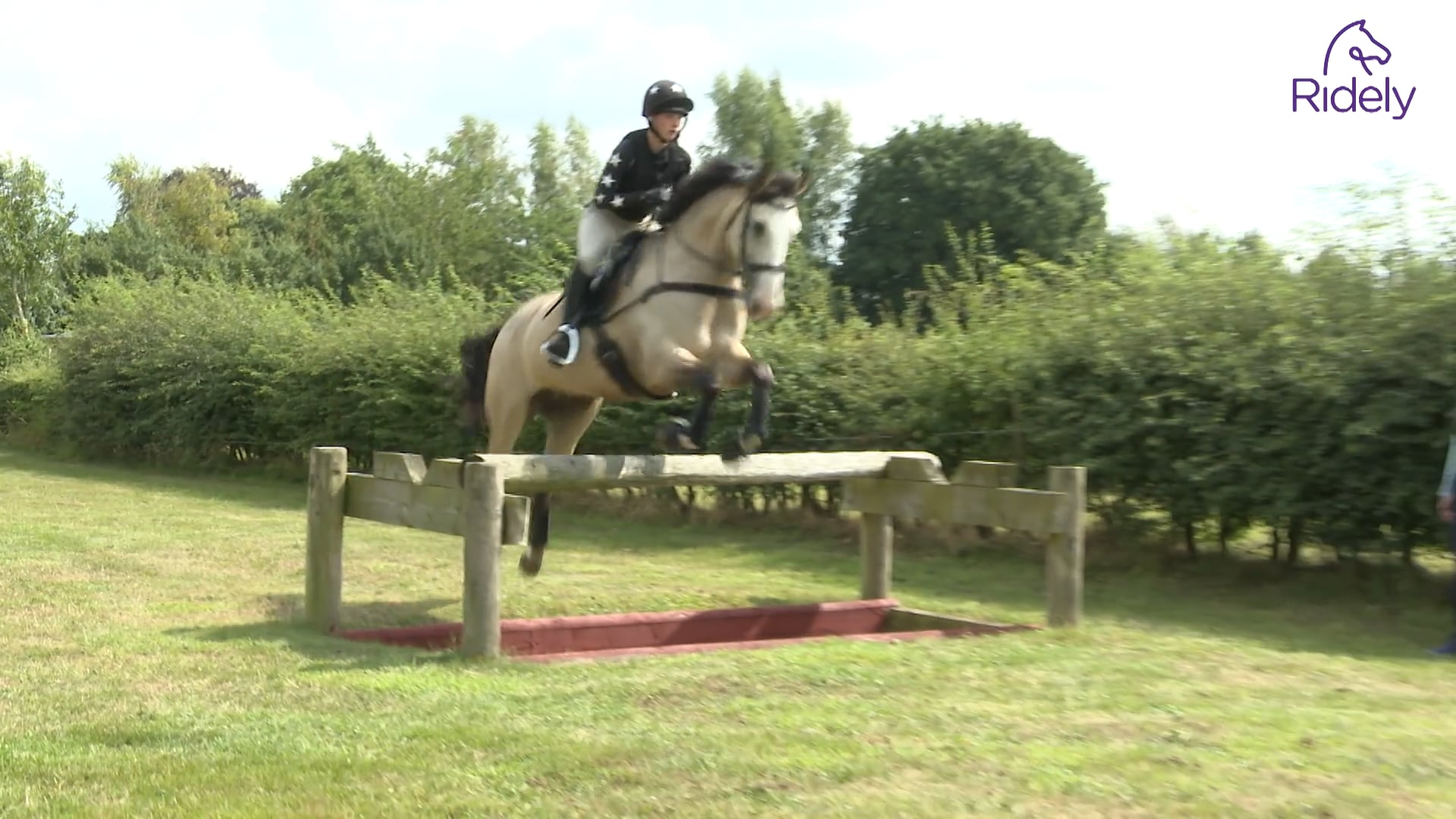 Riding Trakehners | Ridely