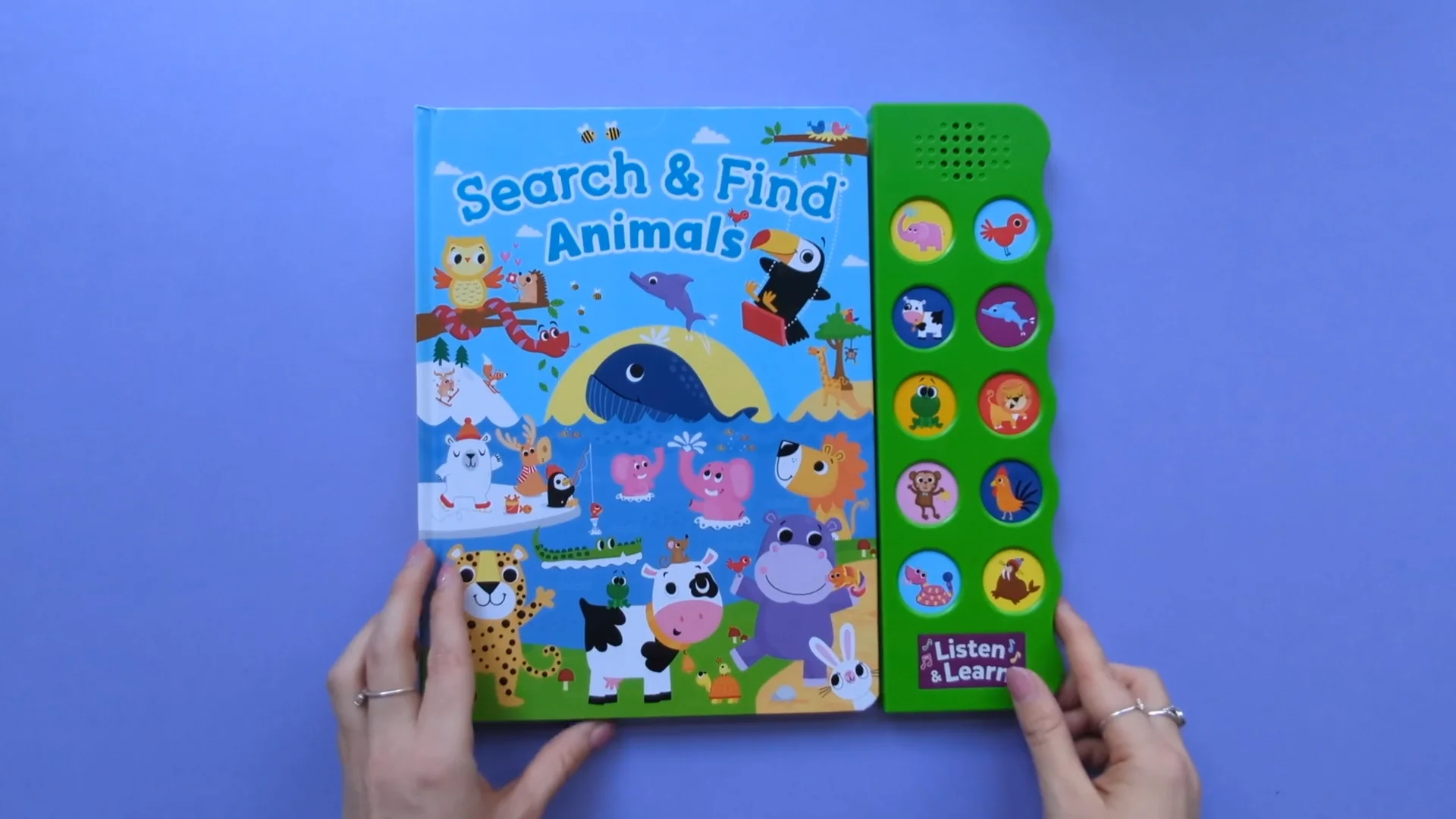 Search and Find 10 Button - Animals